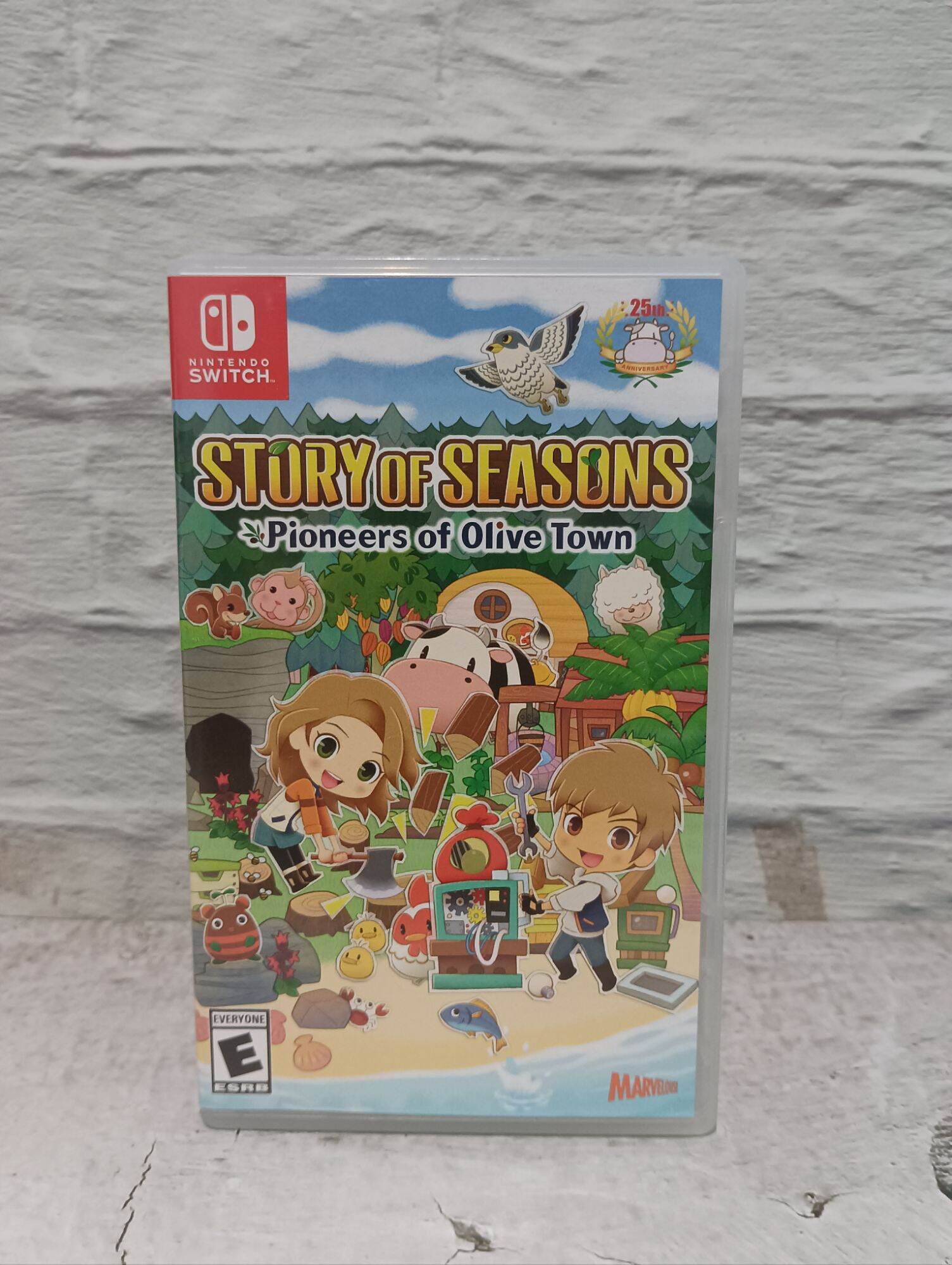 แผ่นเกมส์NINTENDO SWITCH STORY OF SEASONS Pioneers of olive Town มือสอง ...
