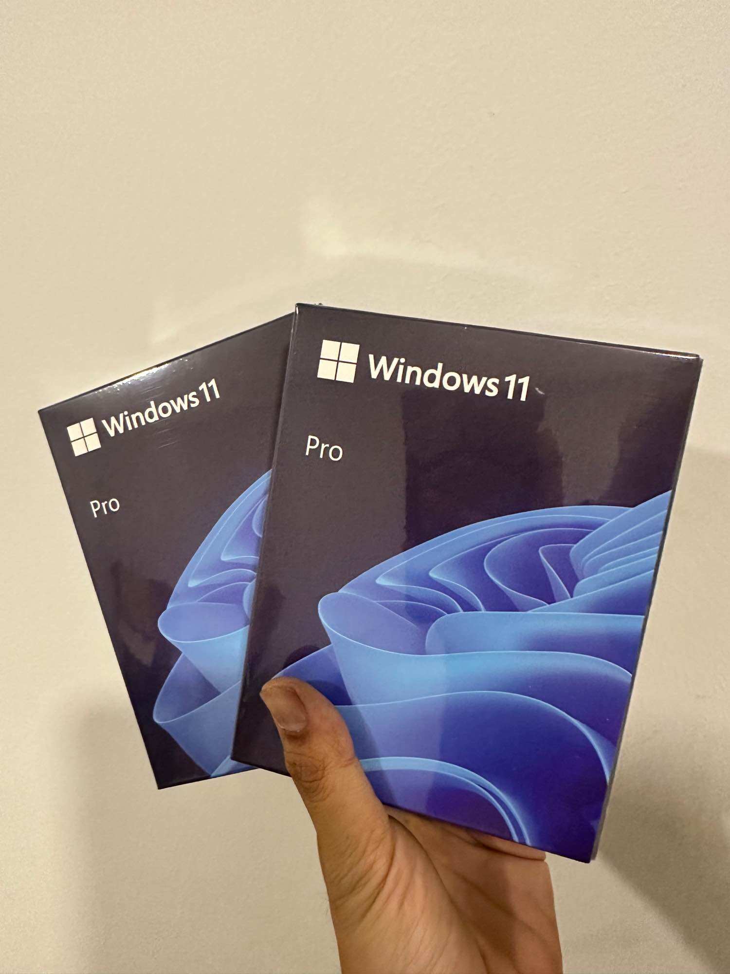 Windows 11 Pro USB FPP 64Bit ENG/TH Full Box ถาวร | Lazada.co.th