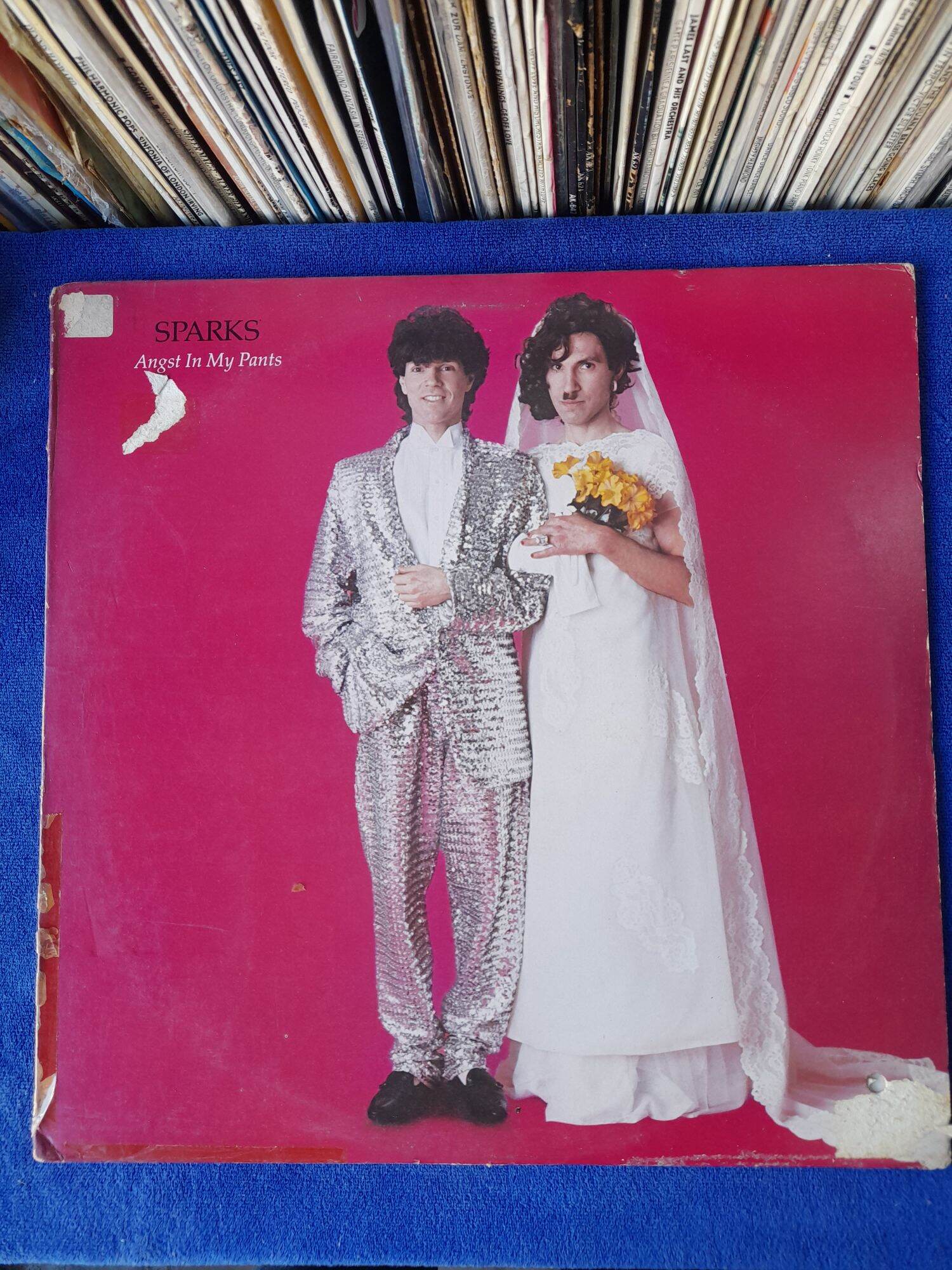 LP BOX10, SPARKS , Angst In My Pants แผ่นต้นฉบับเดิม แผ่นเสียง vinyl Lp ...