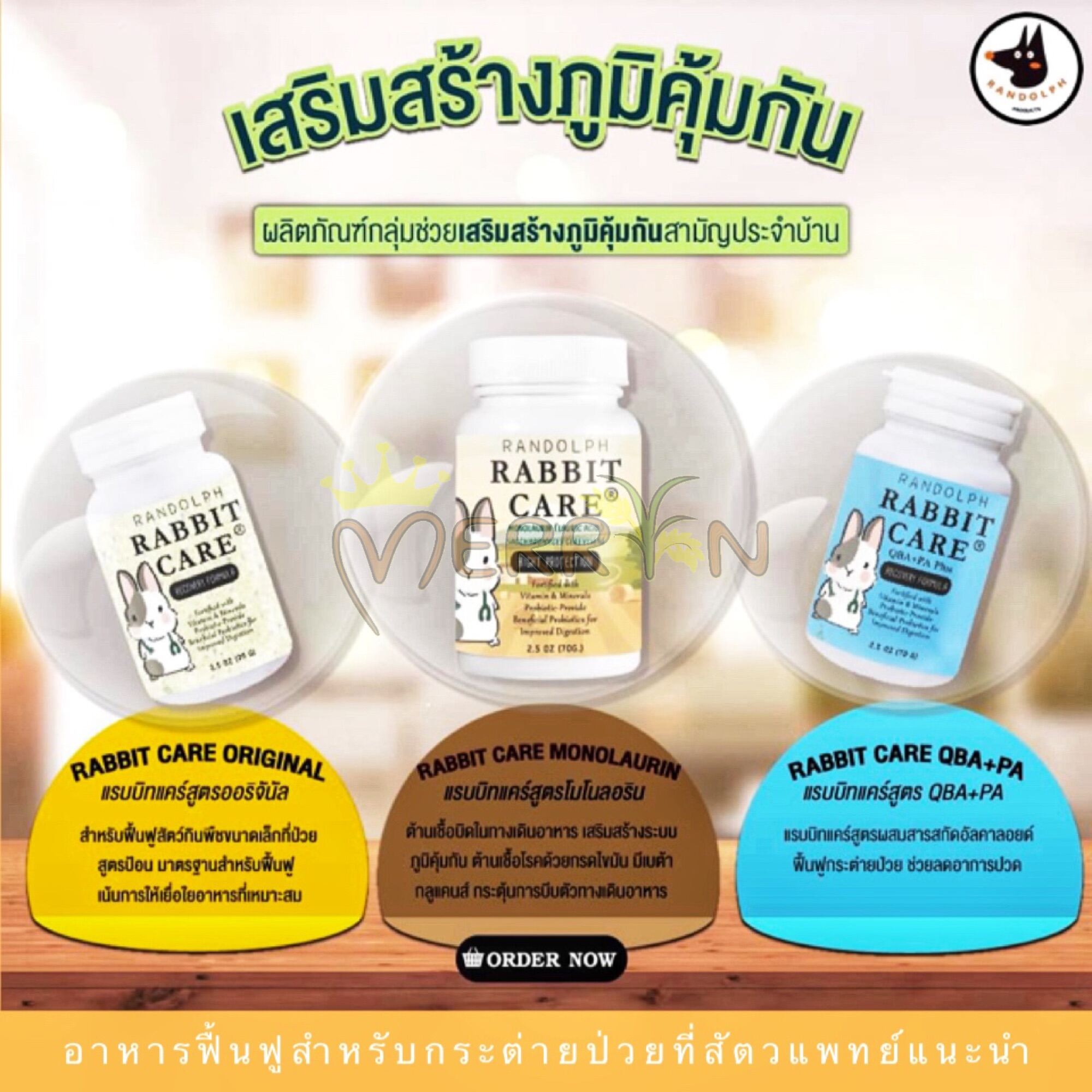 Randolph Rabbit Care อาหารฟื้นฟูสำหรับกระต่ายป่วย (3สูตร/70G) | Lazada ...