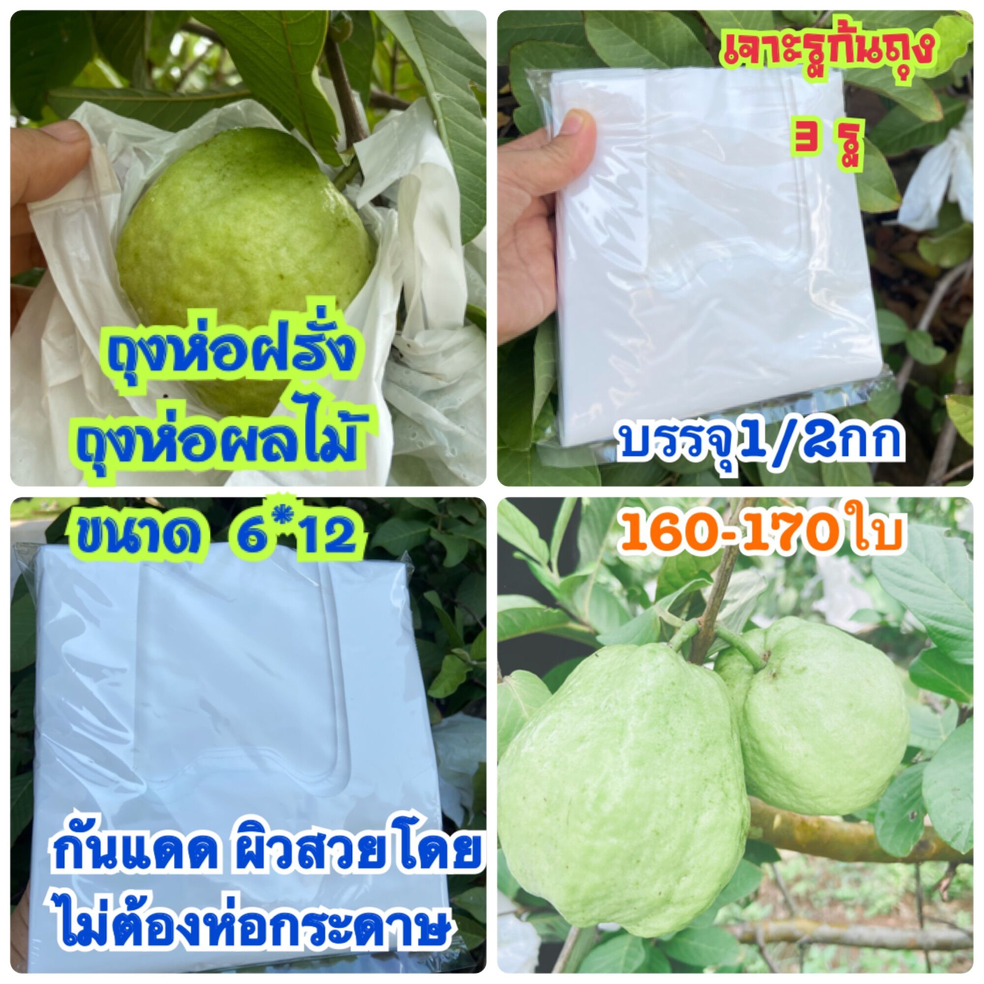 Guava packaging bag 612 614 fruit packaging bag 500g per pack anti ...