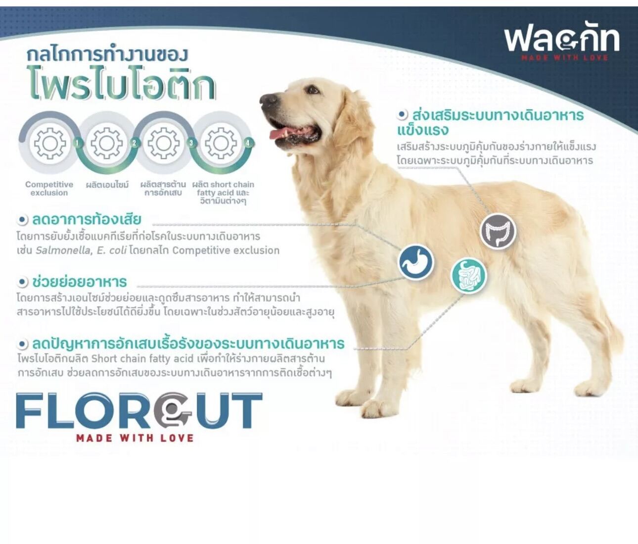 Florgut ฟลอกัท อาหารเสริม probiotic&prebiotic สำหรับสัตว์เลี้ยง 30 ...
