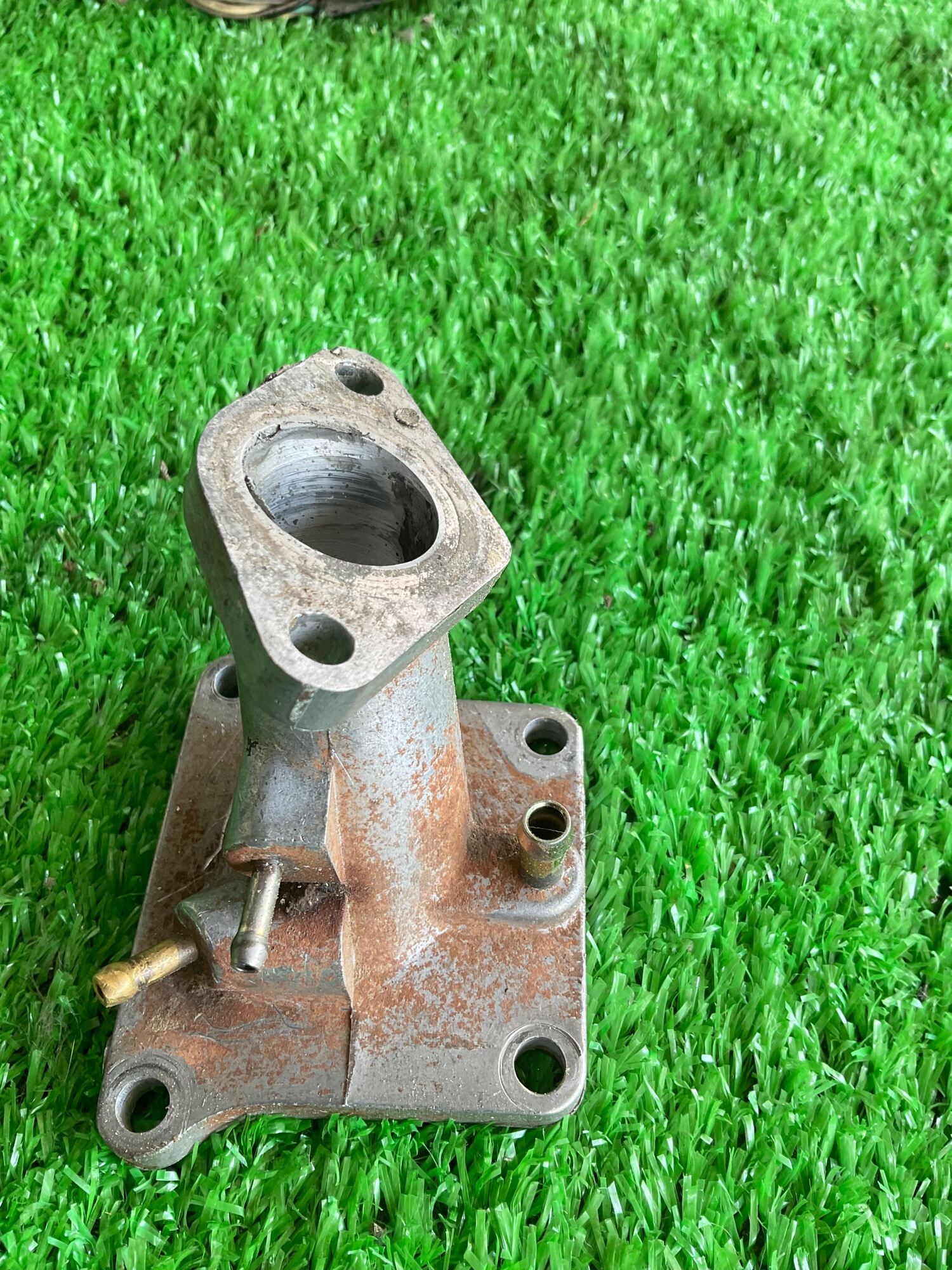 คอหรีดเทน่า โนวา สมาย | Lazada.co.th