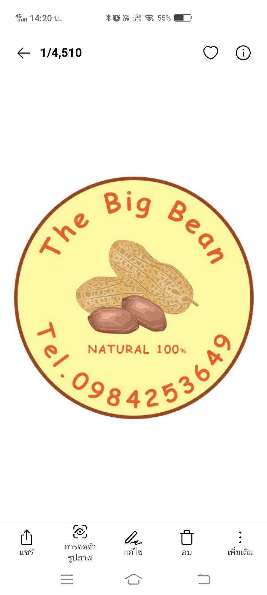 The Big Bean ประเทศไทย ร้านค้าออนไลน์อย่างเป็นทางการ | ช้อปเลยบน Lazada