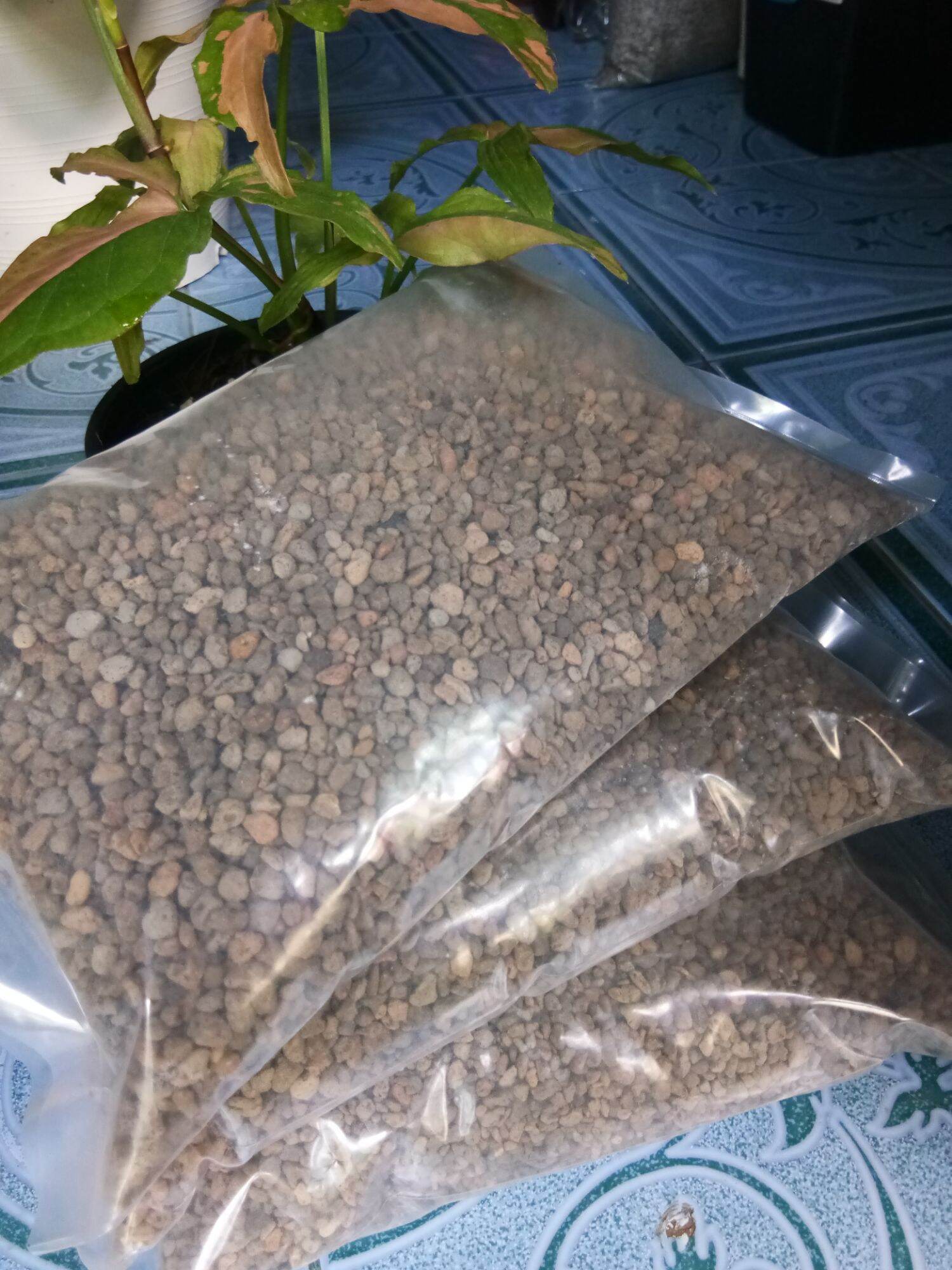 หินภูเขาไฟเบอร์1 บรรจุถุงละ 1 กิโลกรัม Petch plants - Petch plants - ThaiPick