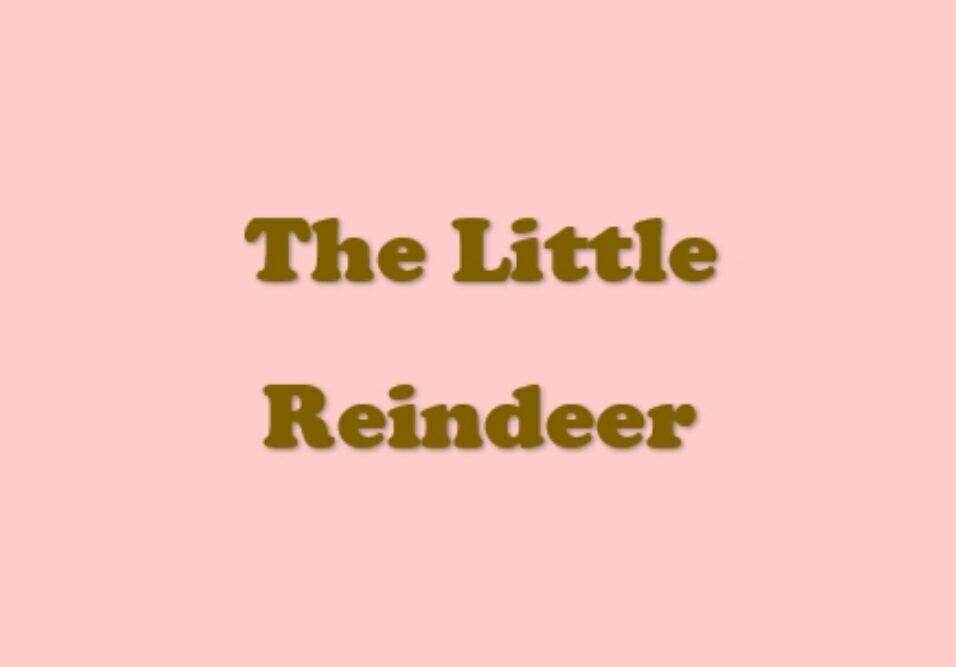 The Little Reindeer ประเทศไทย ร้านค้าออนไลน์อย่างเป็นทางการ | ช้อปเลยบน ...