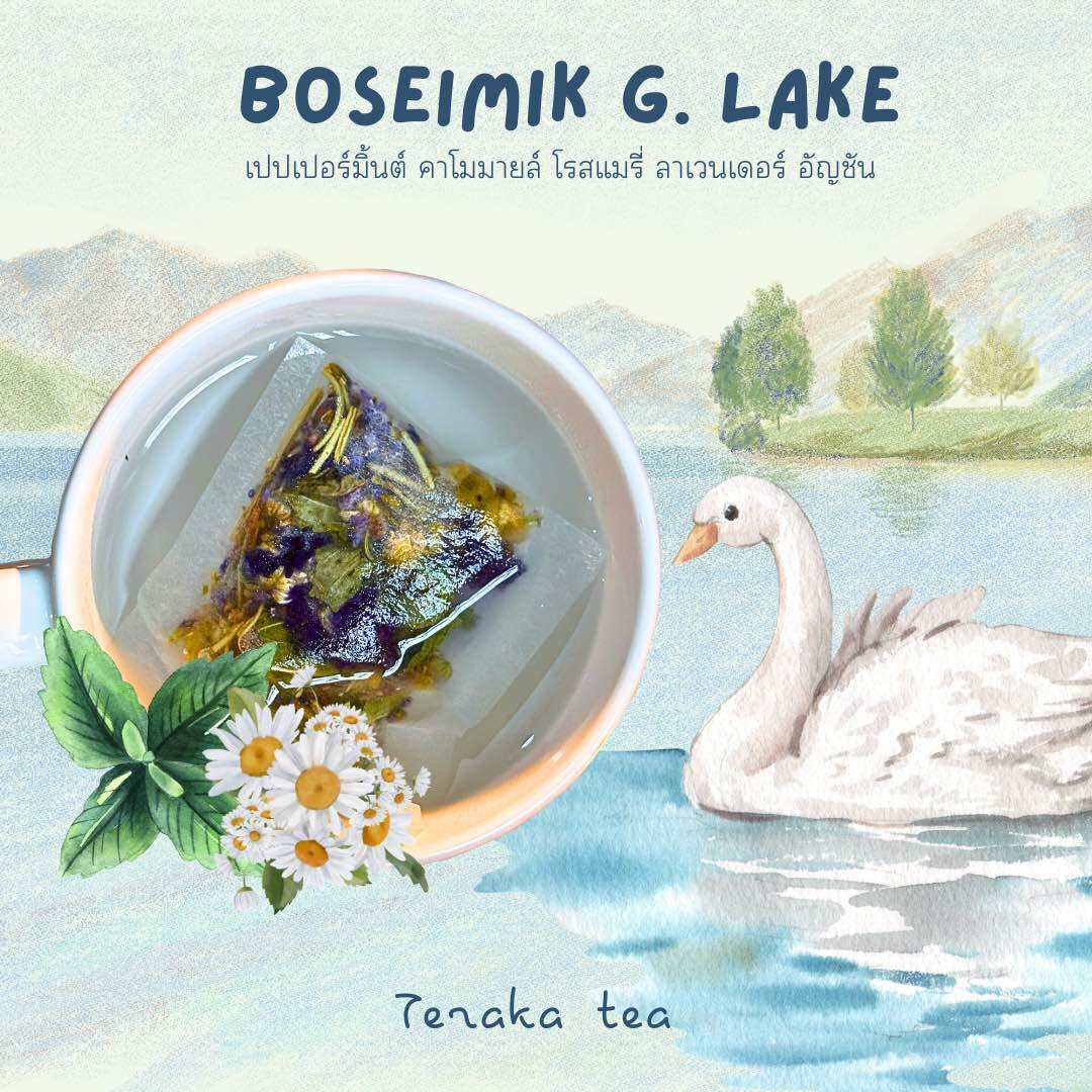ชาดอกไม้ผ่อนคลาย เปเปอร์มินต์ ชาเบลนด์ Tea blend | Boseimik G. Lake by Teraka tea | Lazada.co.th