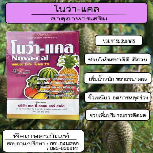 โนว่า-แคล ( Nova-cal ) แคลเซียม โบรอน | Lazada.co.th