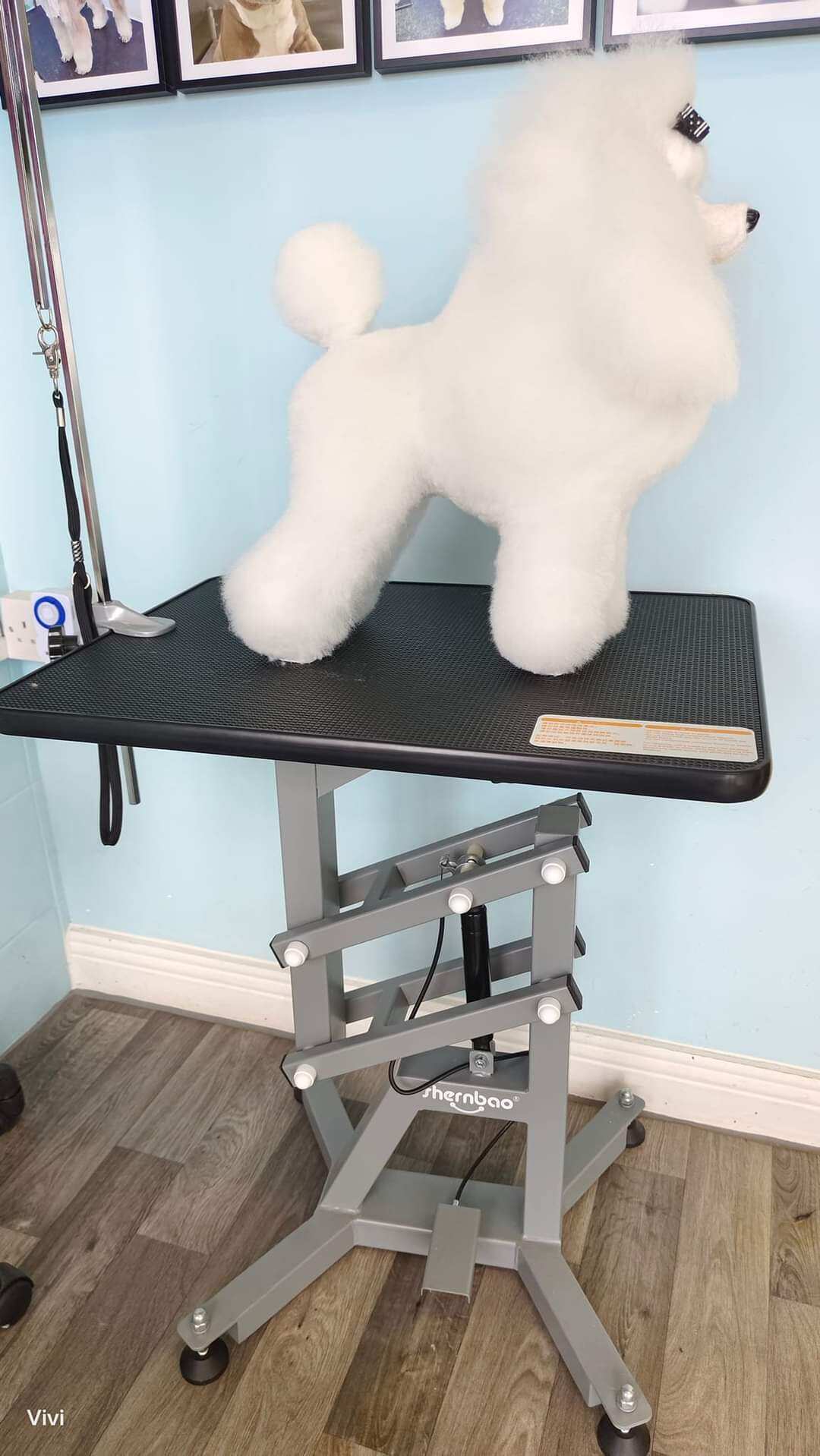 Shernbao FT-832 Air-lifting square grooming table adjustable height 70 ...