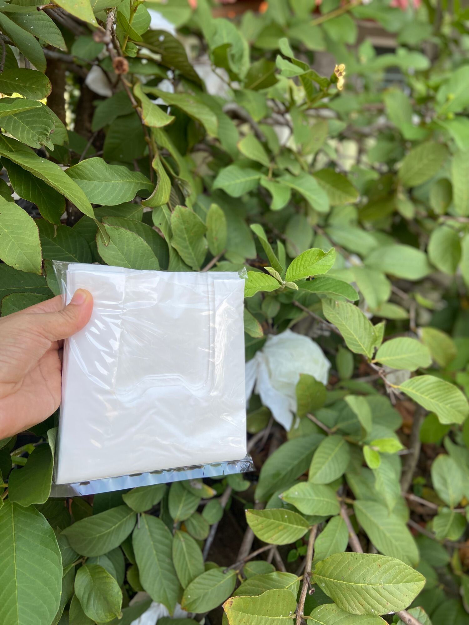 Guava packaging bag 612 614 fruit packaging bag 500g per pack anti ...