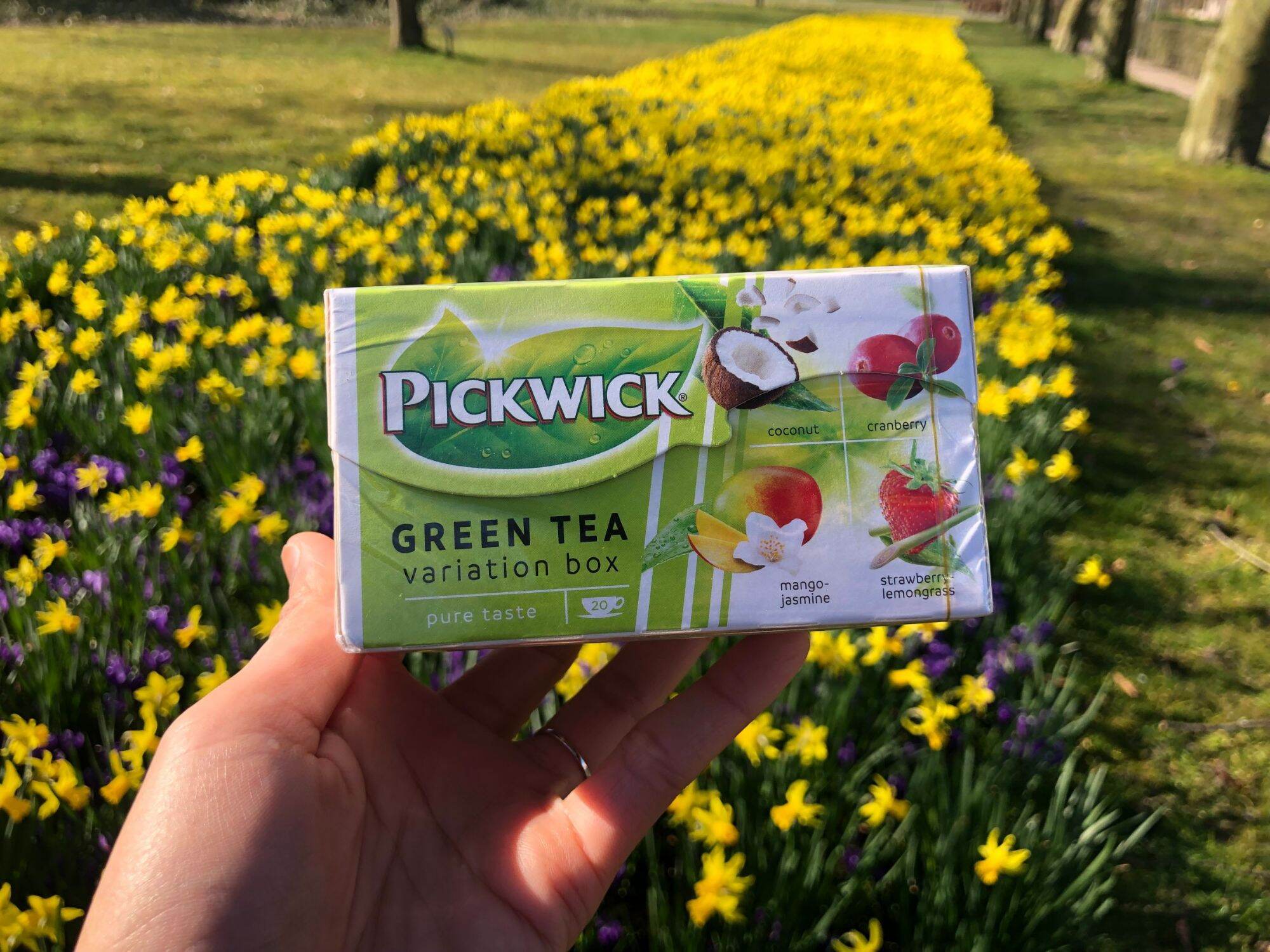 ชาเขียวแบบผสมสี่รสชาดในกล่อง Pickwick Green Tea Variation Box/รสมะพร้าว ...