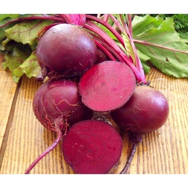 เมล็ดพันธุ์ บีทรูท ( Beet Root Seed) บรรจุ 50 เมล็ด | Lazada.co.th