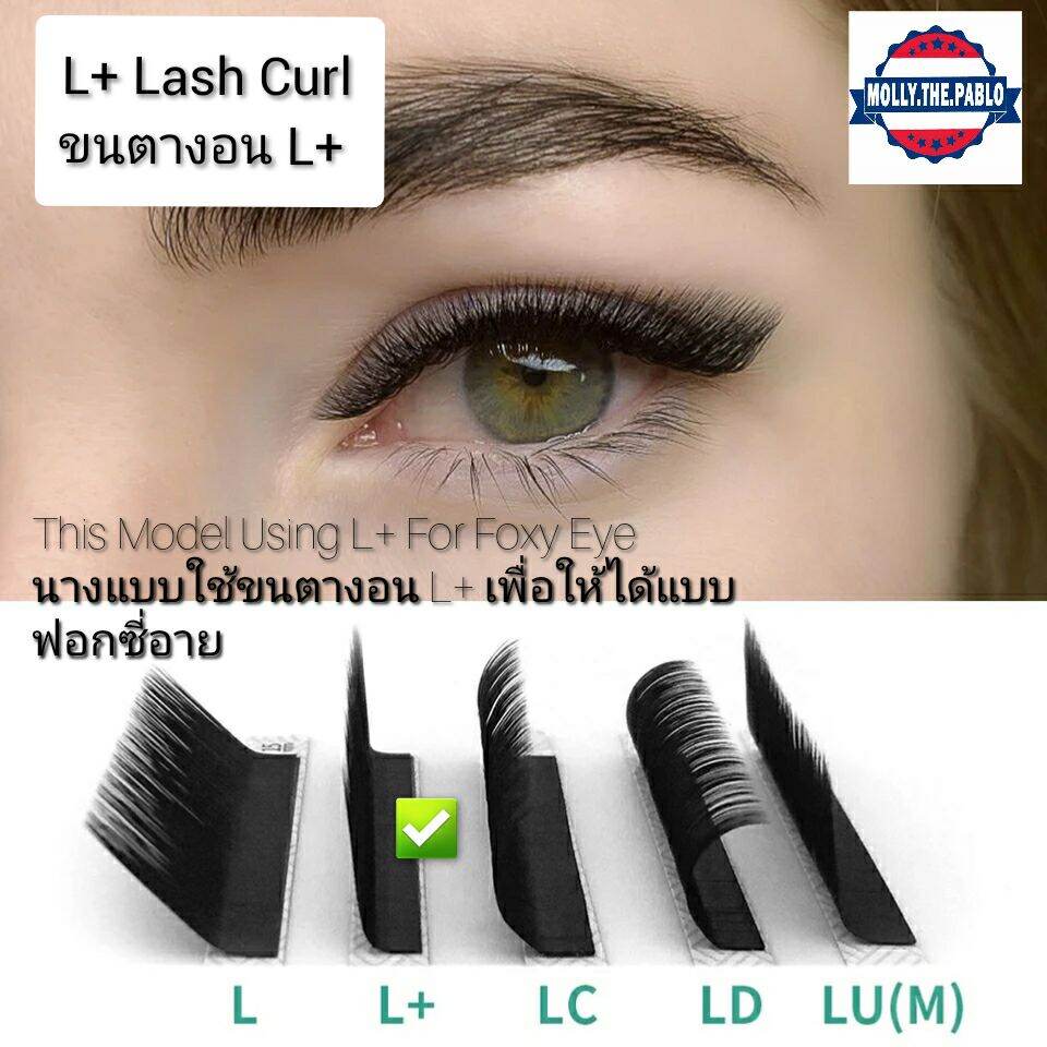 Lash Extension L+ Curl 0.07mm. Beauty Adhesive Lash Foxy Cat Eye ...