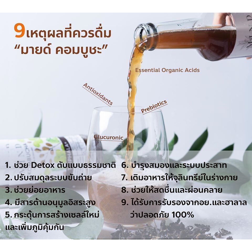 Mind Kombucha มายด์ คอมบูชะ ชาหมัก fermented tea เพื่อสุขภาพ 250 มล ...