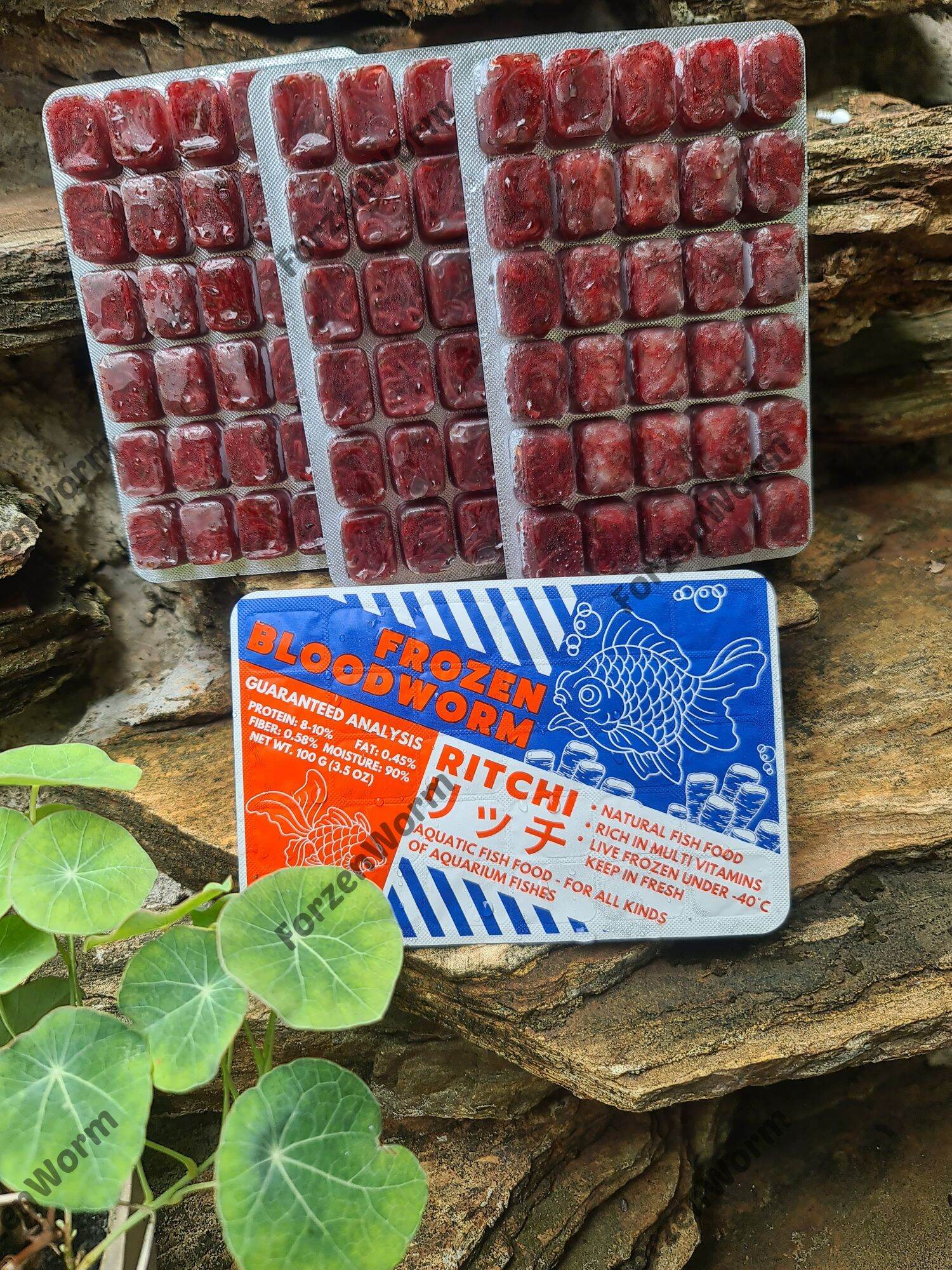 หนอนแดงแช่แข็ง RITCHI ( 3 แพ็ค ) แถมฟรีถุงเจลความเย็น ปลากุ้ง และเต่า ...