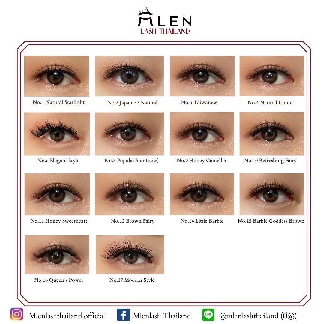 Mlenlash - ขนตาแม่เหล็ก MLEN Magnetic eyelashes - Mlenlash.TH - ThaiPick