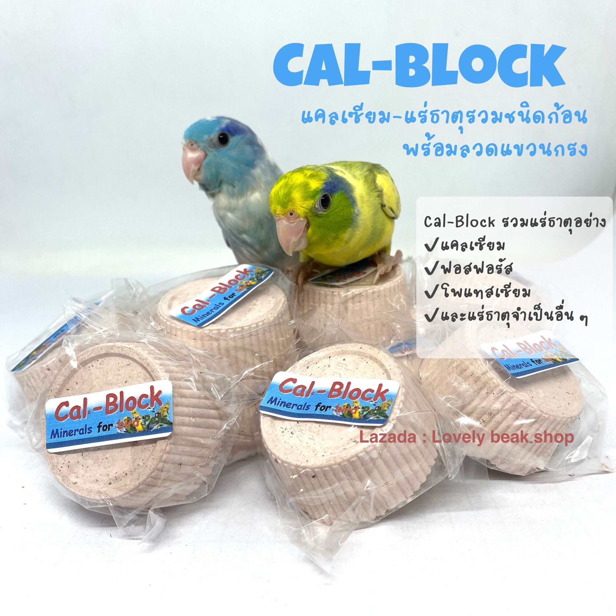 Cal-block แร่ธาตุชนิดก้อน แคลเซียม สำหรับนกแก้ว แคลเซียมก้อน แร่ธาตุ ...