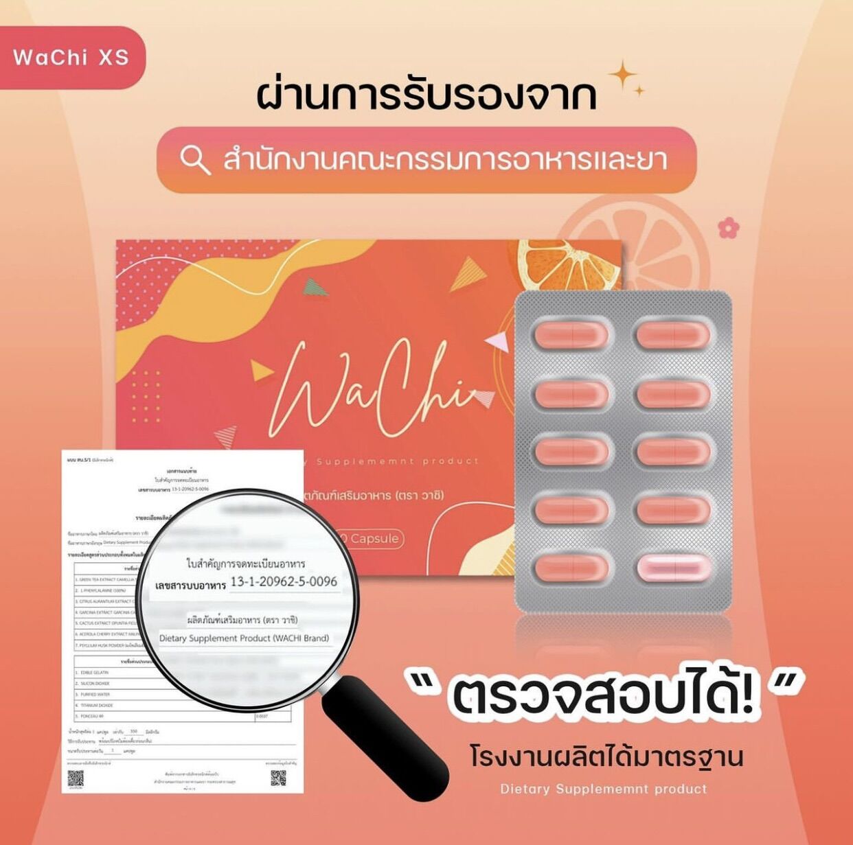 WACHI SET ทดลอง คู่หู WACHI XS WACHI JELLY FIBER PREBIOTICS - WACHI ...