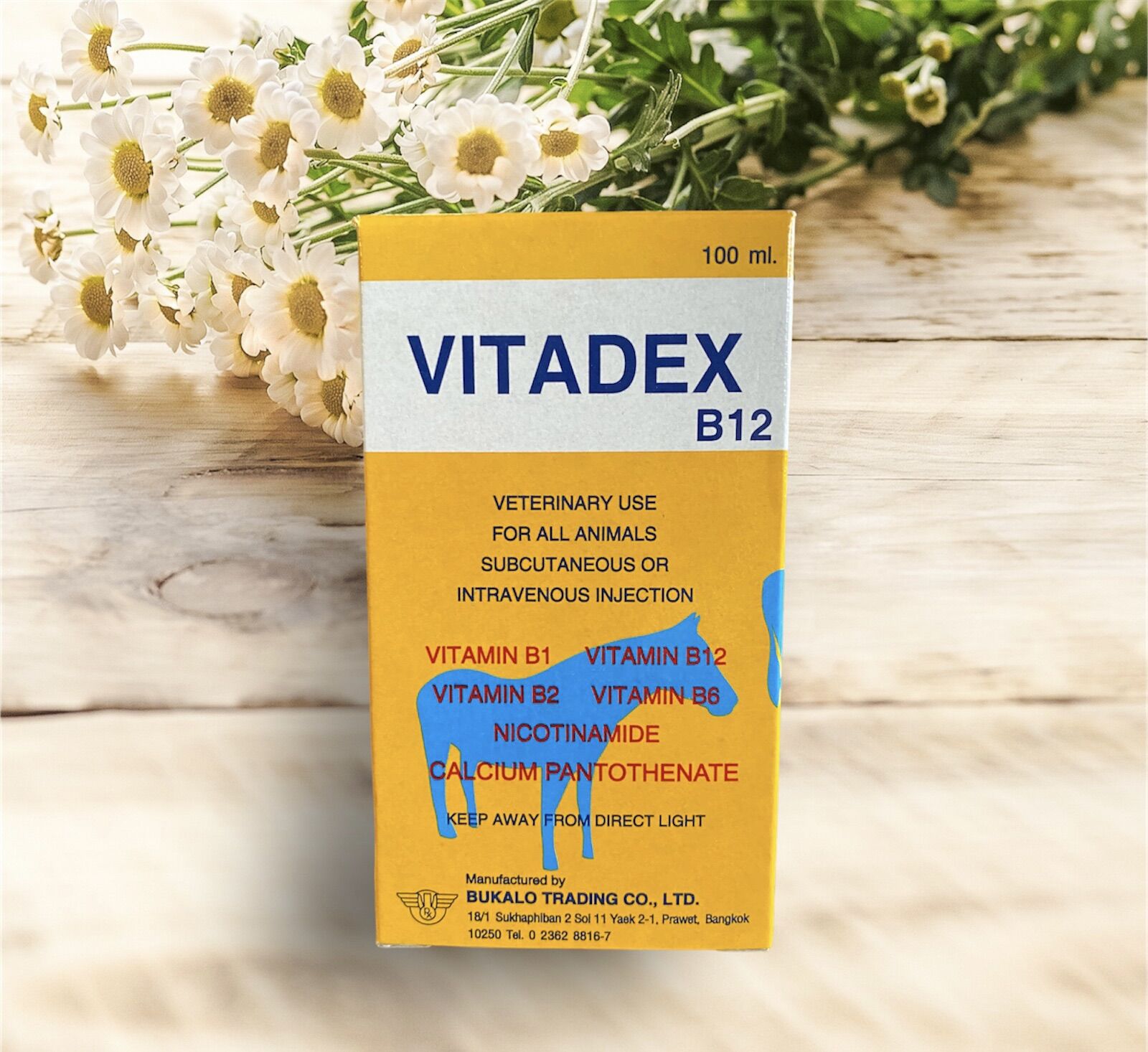 ไวตร้าเด็กซ์ บี12 Vitadex b12 100ml - Ueayshop.99 - ThaiPick