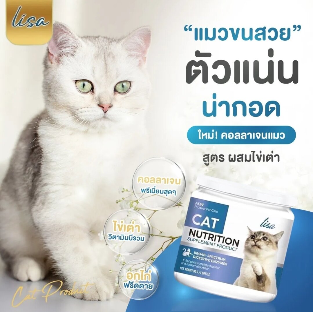 Lisa Collagen บำรุงน้องเเมว | Lazada.co.th