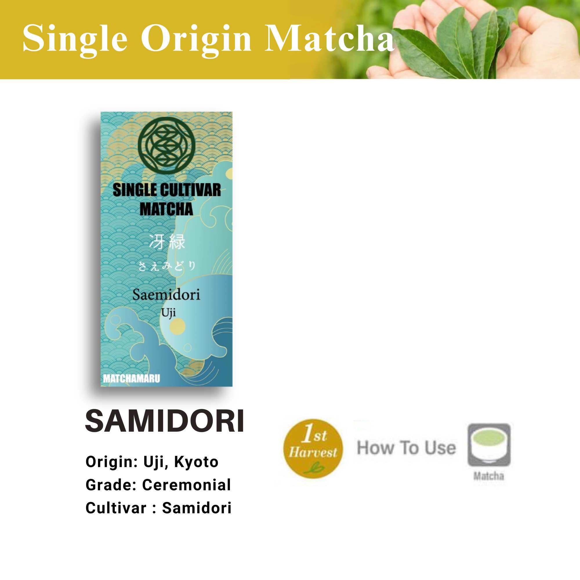 UJI Single cultivar - Samidori : Ceremonial grade matcha 100%