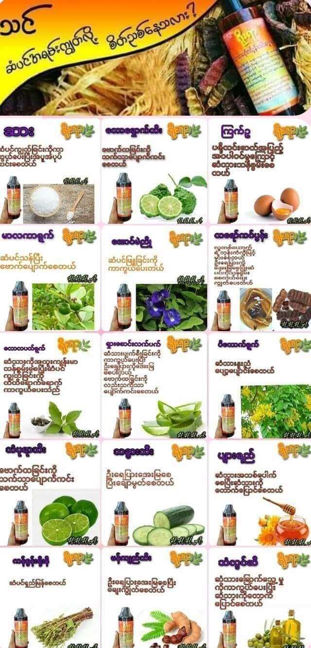 ရိုးရာ ခေါင်း‌လျော်ရည်ဗူး Yoeyar Shampoo Myanmar | Lazada.co.th