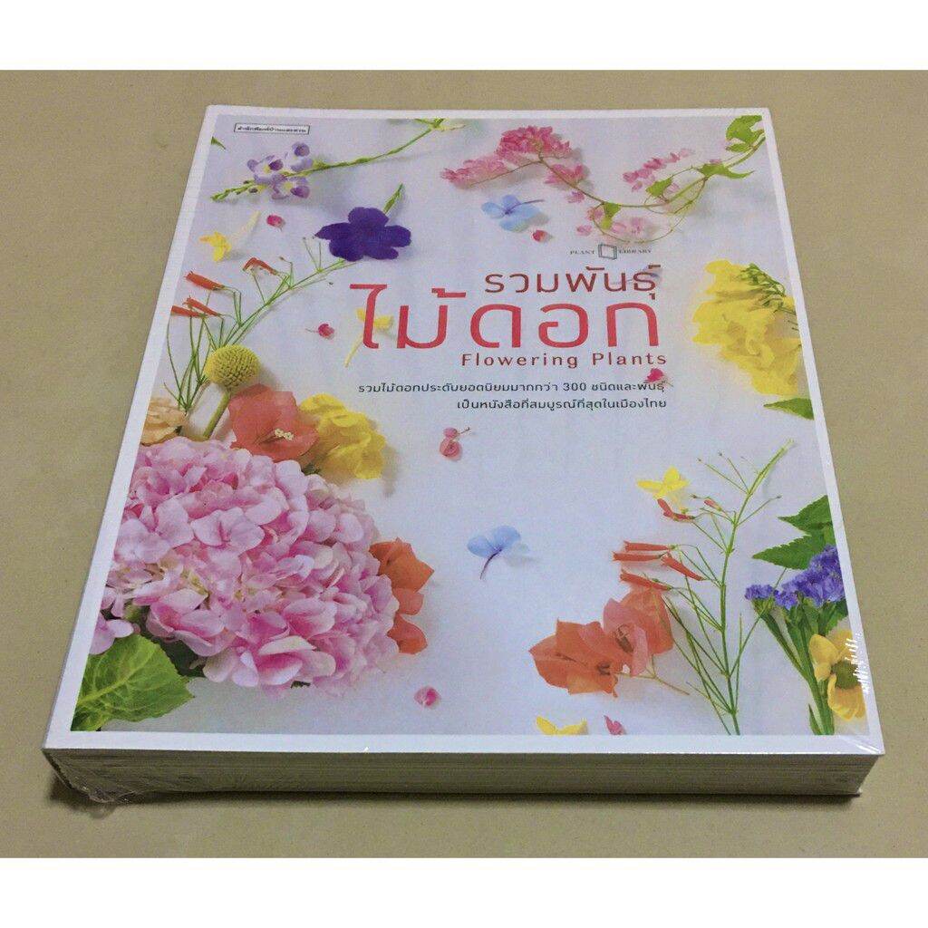 รวมพันธุ์ไม้ดอก Flowering Plants - PATCHA Store - ThaiPick