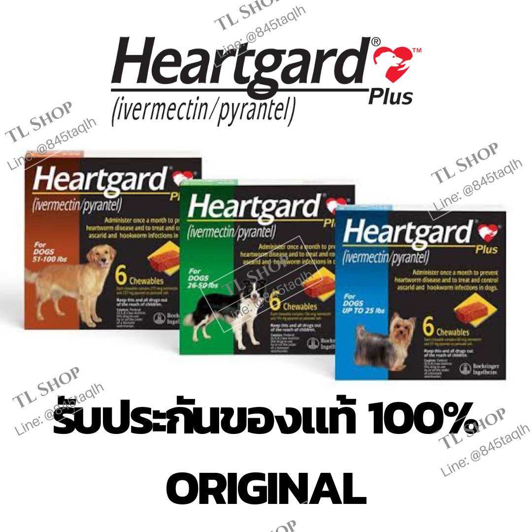 Heartgard Plus (สุนัข) (ทุกขนาด) 6 เม็ด ชนิดเคี้ยว ของแท้ | Lazada.co.th