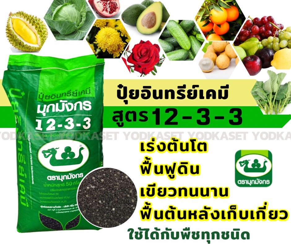 ปุ๋ยอินทรีย์เคมี 12-3-3 ปุ๋ยอินทรีย์ สูตรสูง เร่งการเจริญเติบโต ฟื้นฟูต้น เขียวนาน พืชแข็งแรง ...