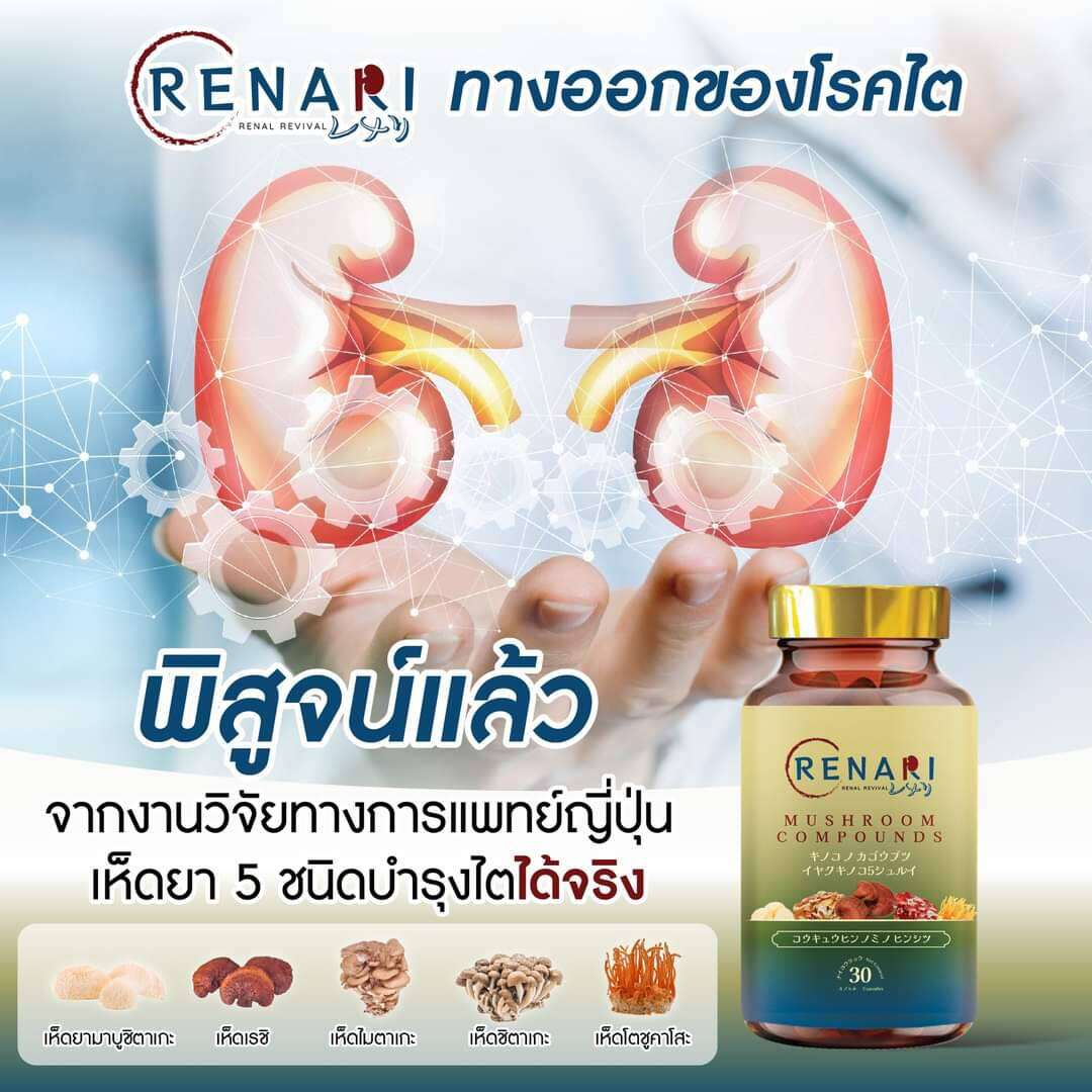 เรนาริRENARIบำรุงฟื้นฟูไตทุกระยะ(30แคปซูล)เห็ดทางการแพทย์ญี่ปุ่น ...