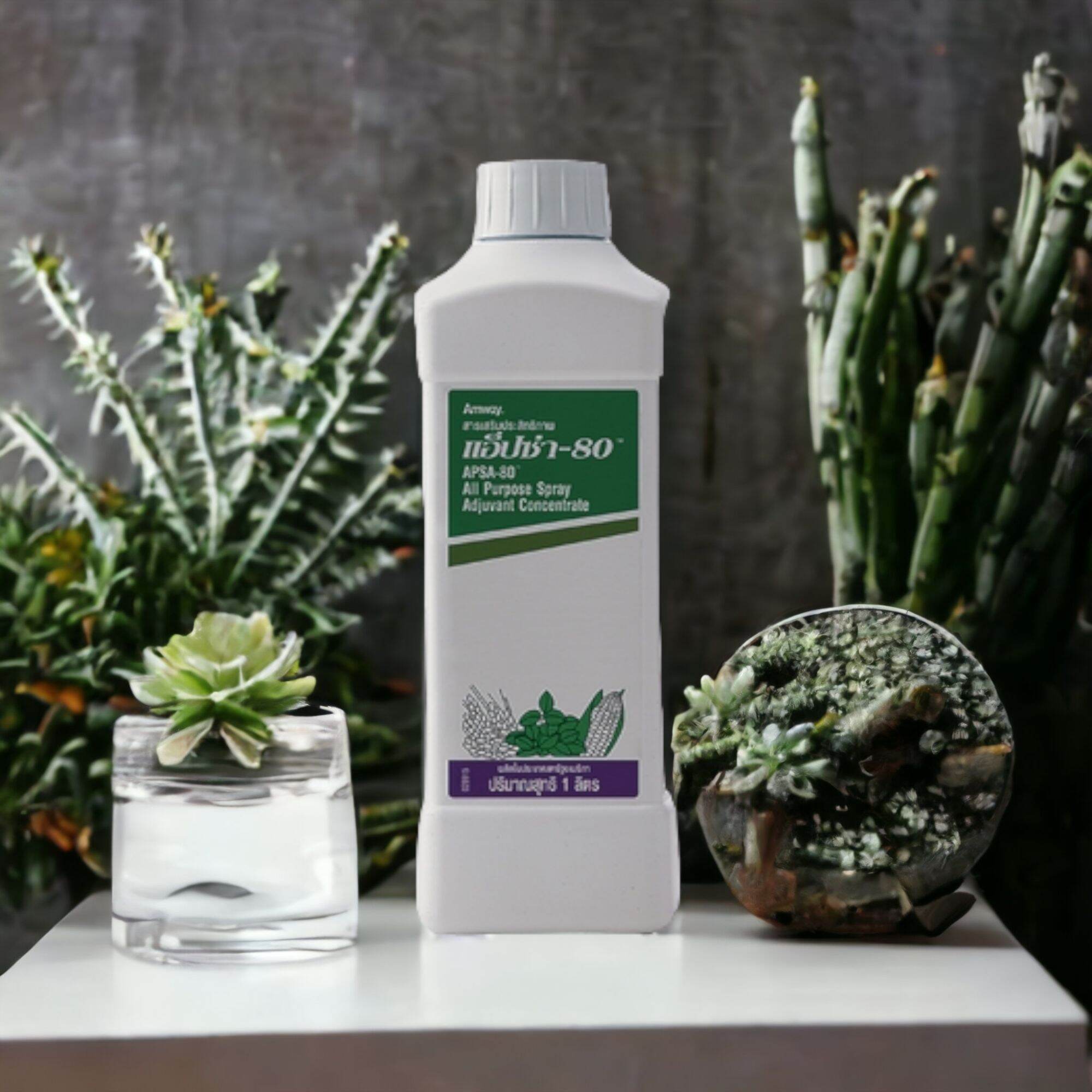 Apsa-80 | Lazada.co.th