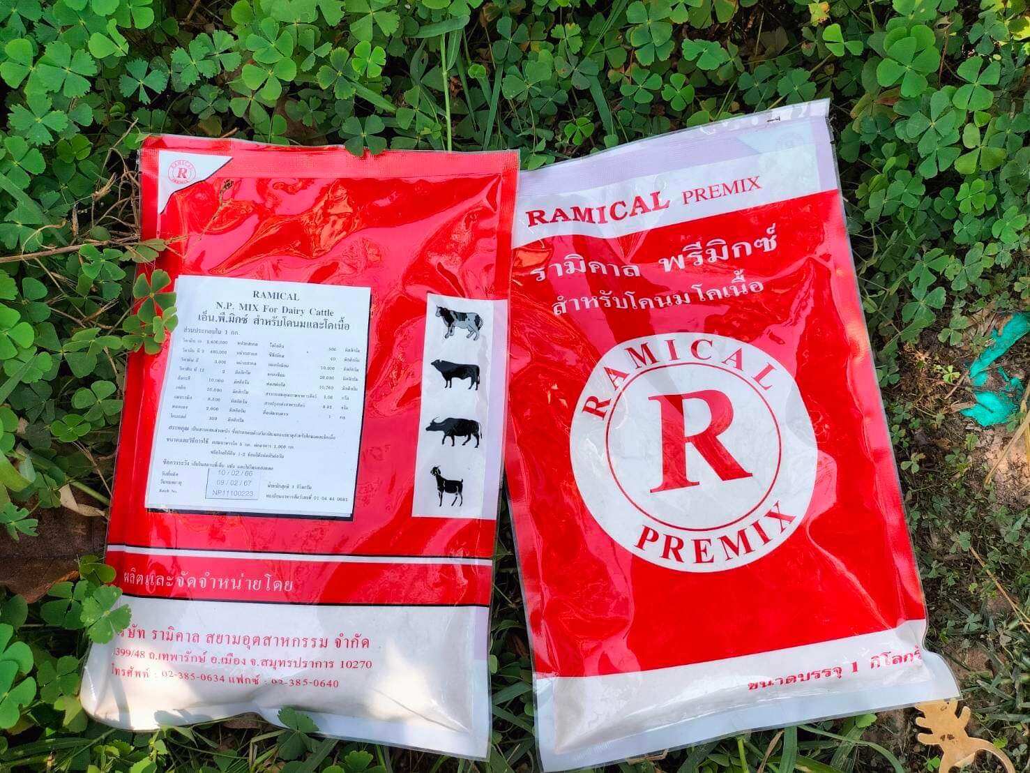 รามิ คาลพรีมิกซ์ Ramical premix อาหารเสริม วัว ผสมติดง่าย เป็นสัดไว ...