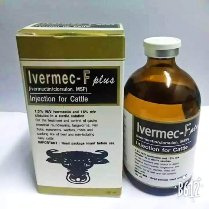 $ IVERMEC-F ของไทย ขนาด 100 ml ฟรี เข็ม นิโปร 5 อัน - Id7iKN5f - ThaiPick