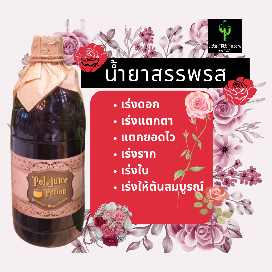 Little TREE Factory น้ำยาสรรพรส ปุ๋ยไม้ดอก กุหลาบ ปุ๋ยกุหลาบ 1 ขวด ...