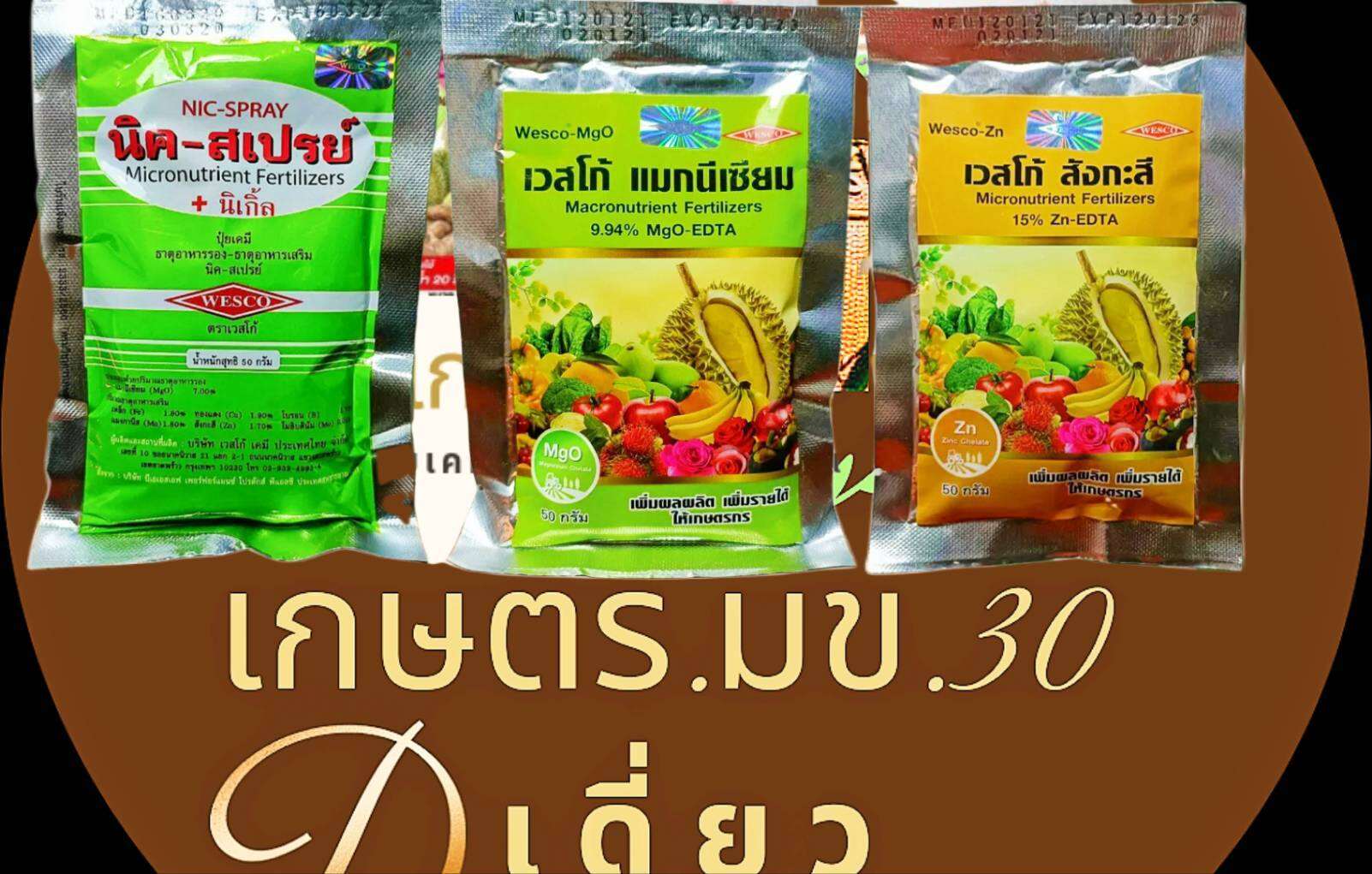เวสโก้ แมกนีเซียม - เดี่ยว.เกษตร.มข.30 - ThaiPick