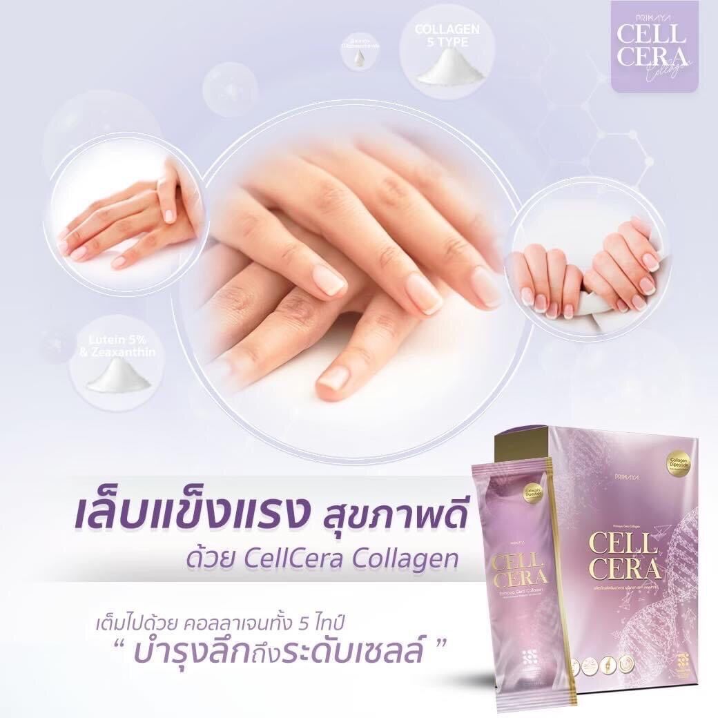 คอลลาเจนCELL CERA พรีมายา | Lazada.co.th