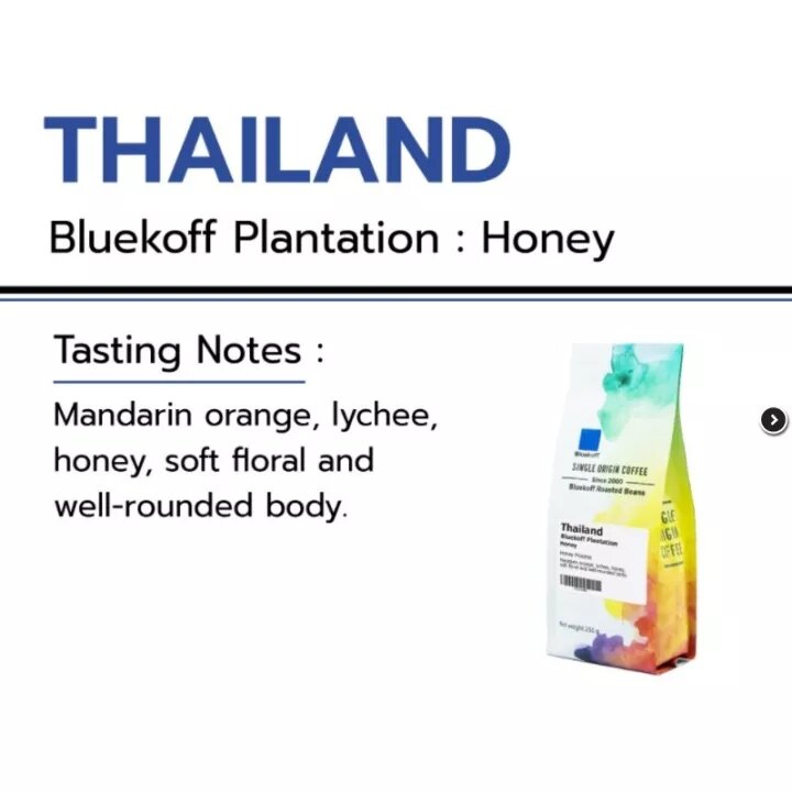Bluekoff Plantation Honey เมล็ดกาแฟ Thai Honey Process 250g คั่วตามรอบ ...