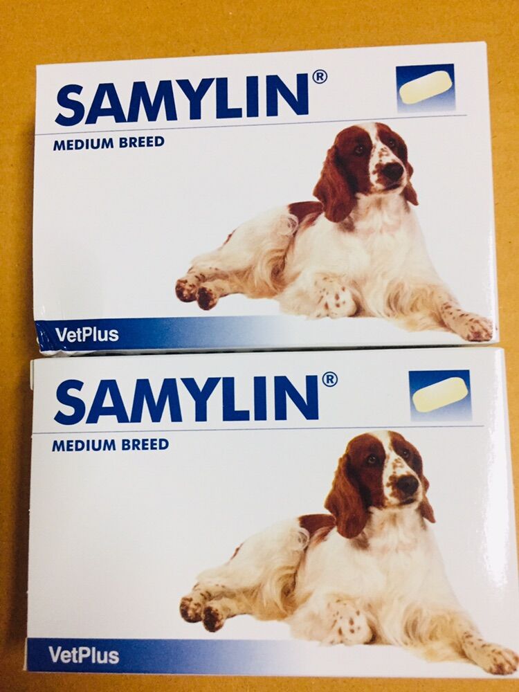 +ส่งฟรี+ หมดอายุ 7/2023 Samylin Large dog แบบเม็ด วิตามินบำรุงตับ ...