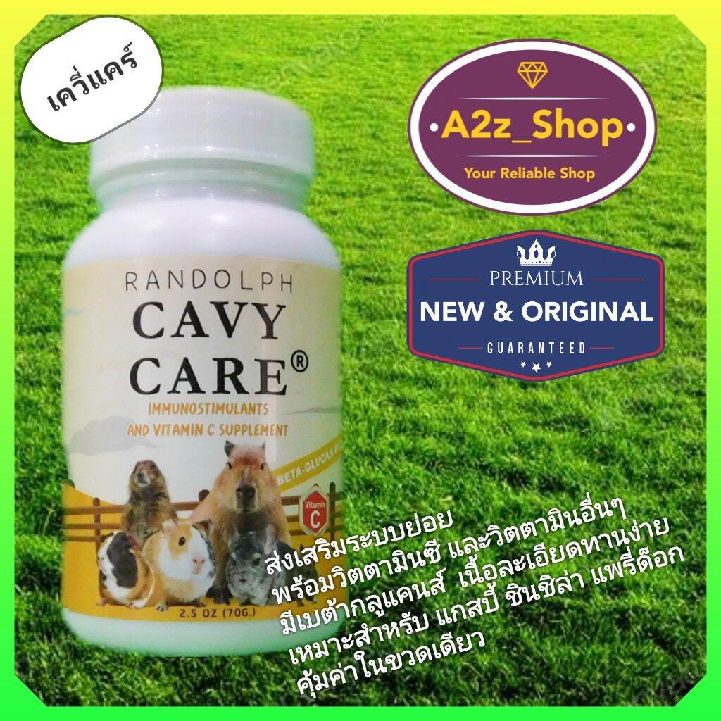 Randolph Cavy Care เควี่แคร์ ฟื้นฟูบำรุงสัตว์กินพืชขนาดเล็กที่ไม่สามารถ ...