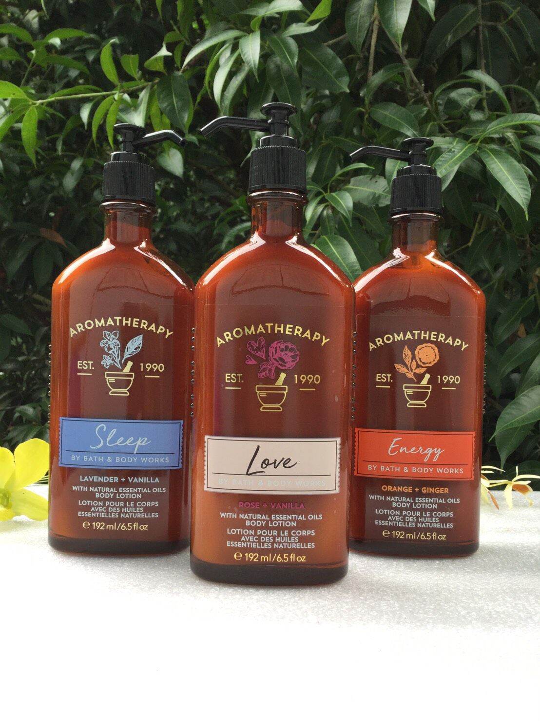 Body Lotion Aroma Bath And Body Works Baanhom Thaipick
