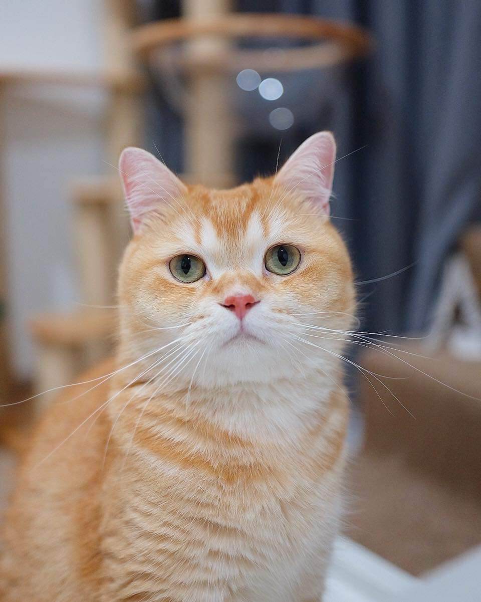 ช้อปออนไลน์ สีทนได้ Colours & Graphics | Lazada Thailand