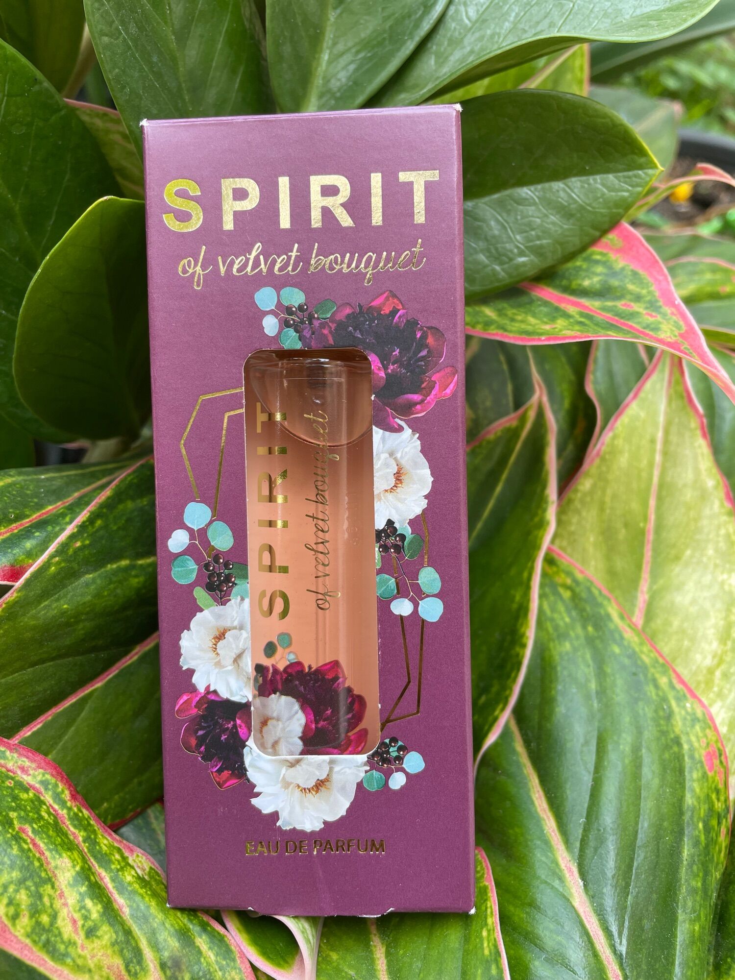 Spirit parfum น้ำหอมจากเยอรมันเเท้100% | Lazada.co.th