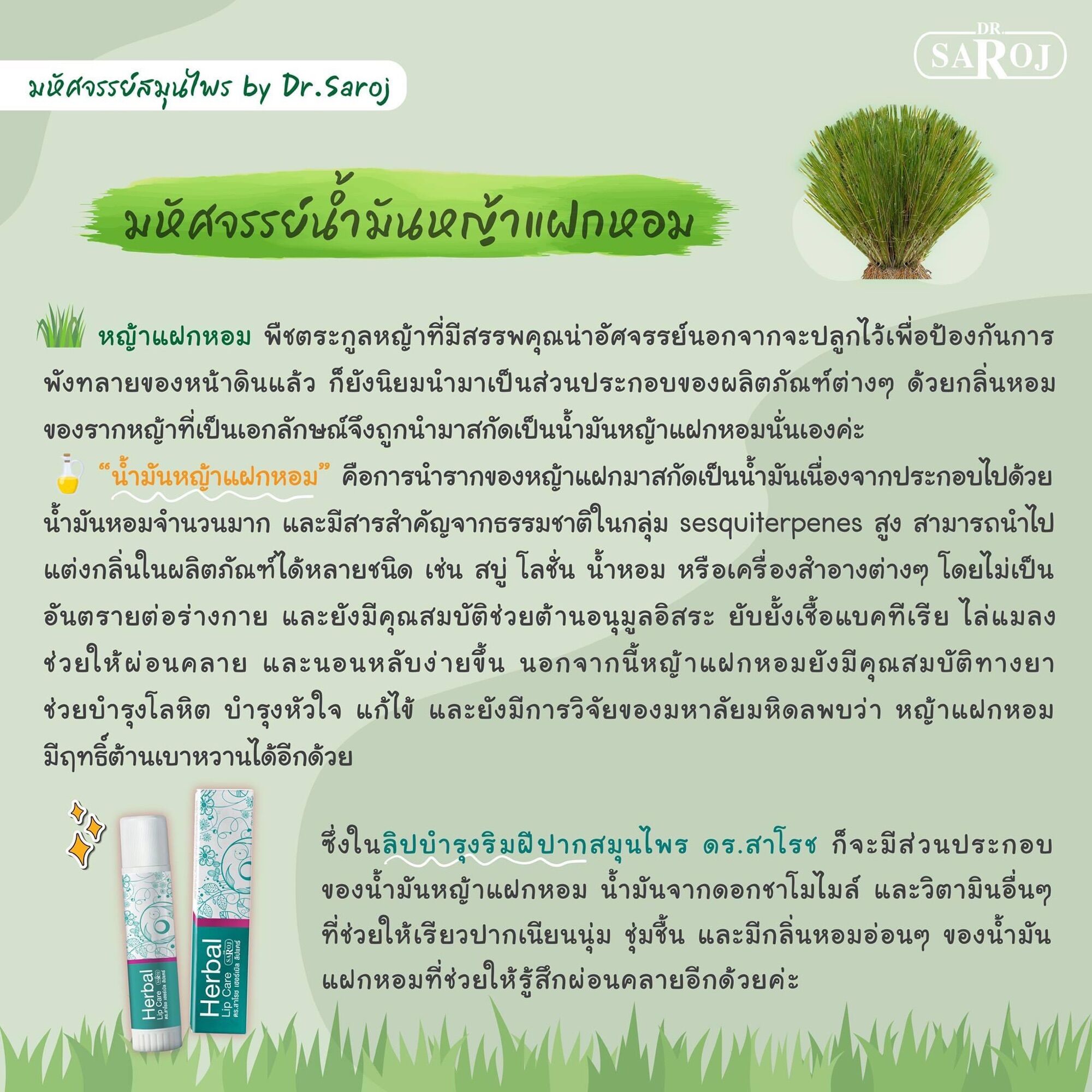 ดร.สาโรช เฮอร์เบิล ลิปแคร์ 10g. จัดส่งฟรี - Dr.Saroj Nonthaburi - ThaiPick
