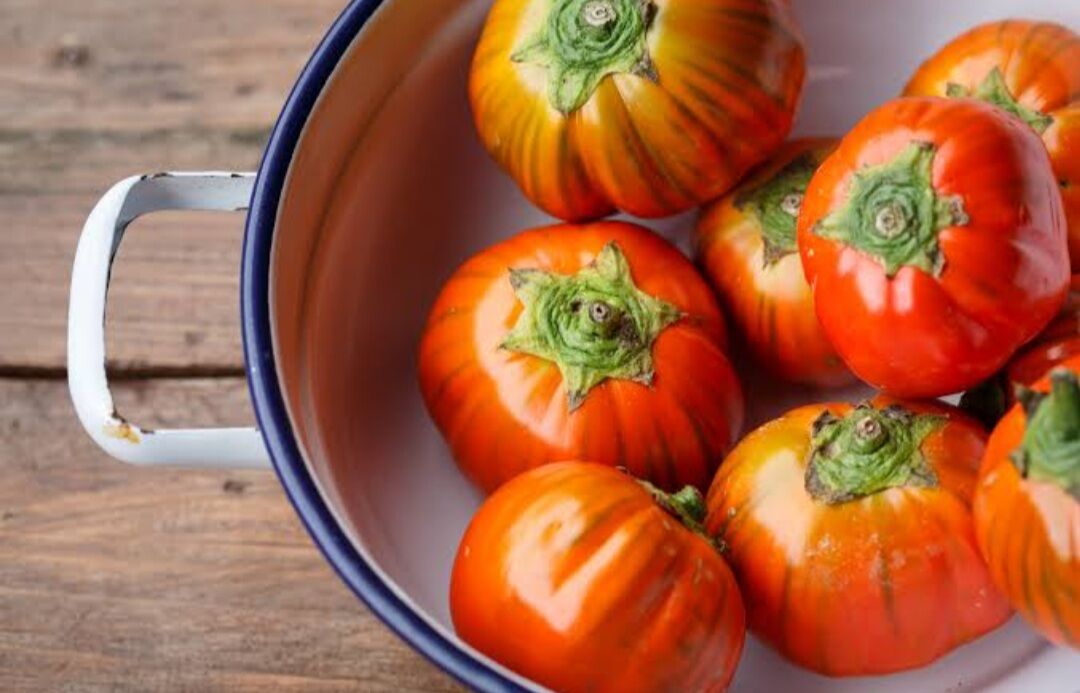 เมล็ดพันธุ์มะเขือตุรกี Turkish Orange Eggplant บรรจุ 30 เมล็ด ของแท้ ...