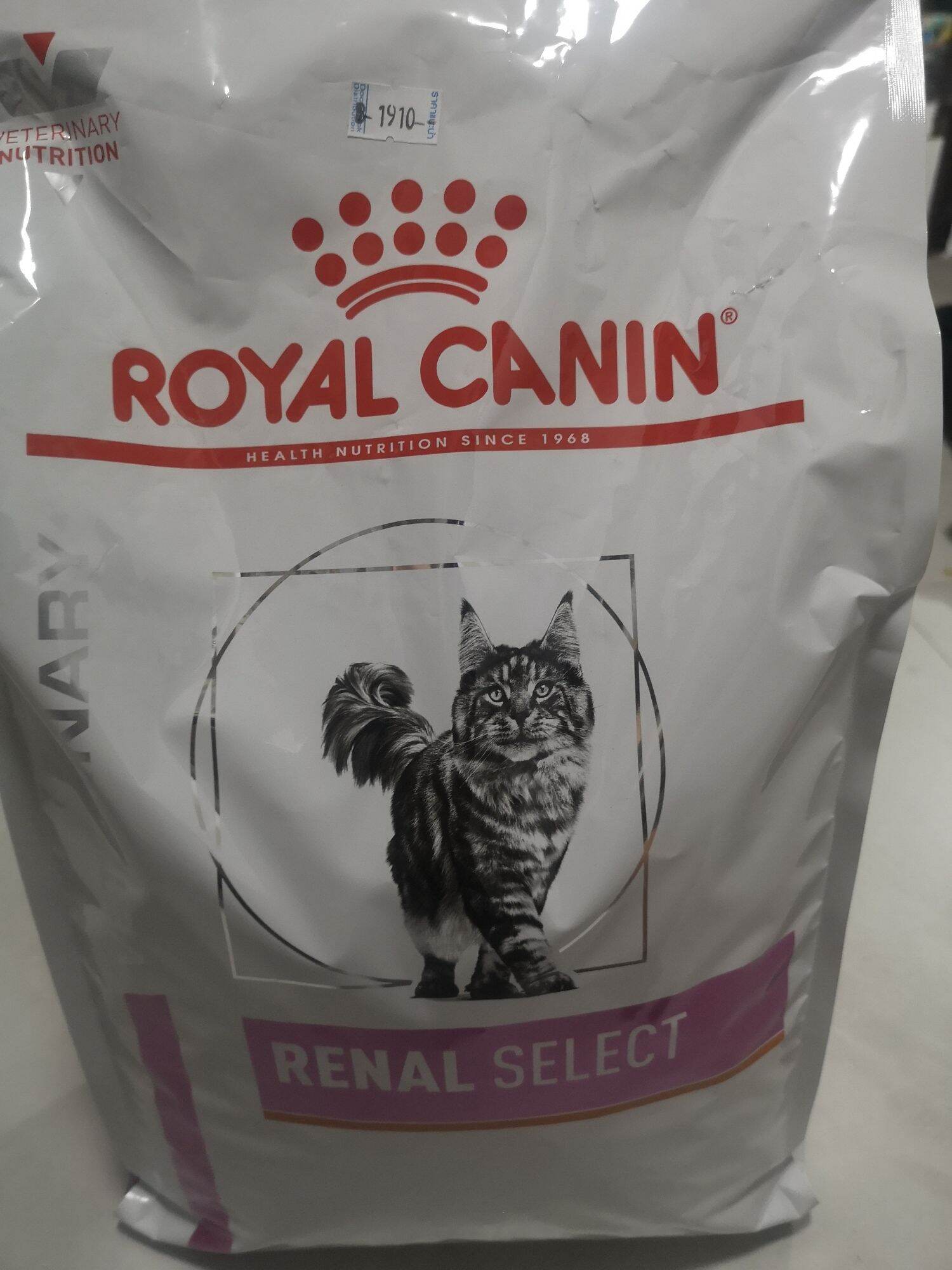 อาหารแมวเหลือ royal canin renal select | Lazada.co.th