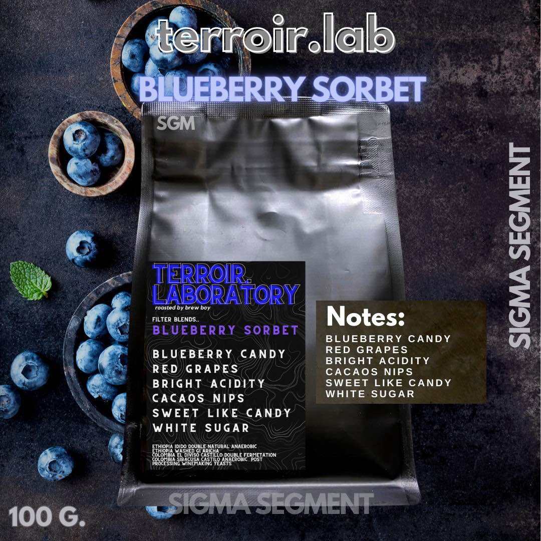เมล็ดกาแฟ BLUEBERRY SORBET (100g.) — TERROIR LABORATORY | Lazada.co.th