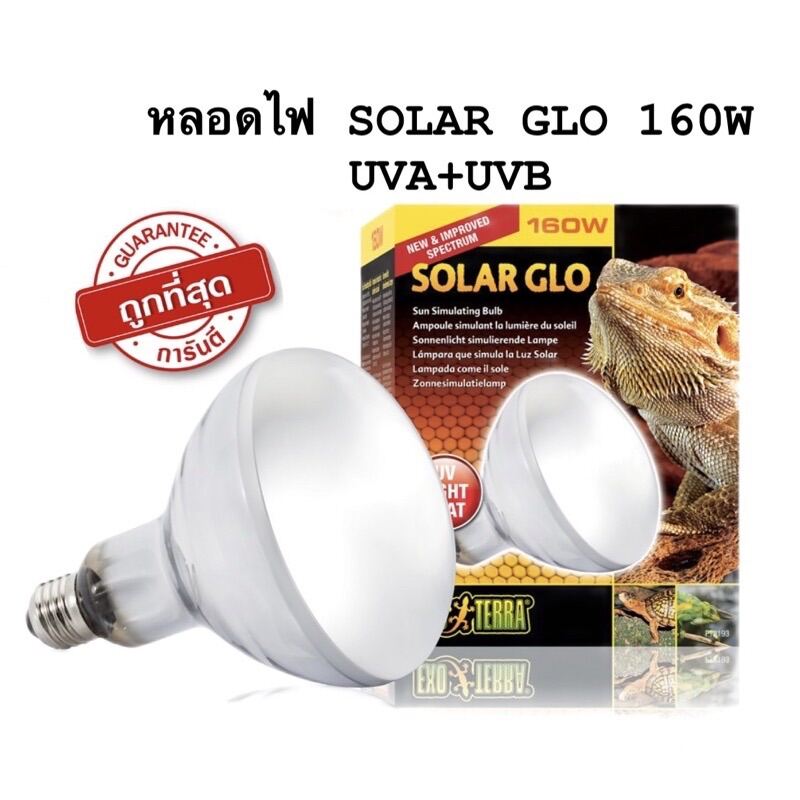 หลอดไฟ UVA UVB Exo Terra Solar Glo หลอดไฟจำลองแสงอาทิตย์ ให้ความร้อน ...