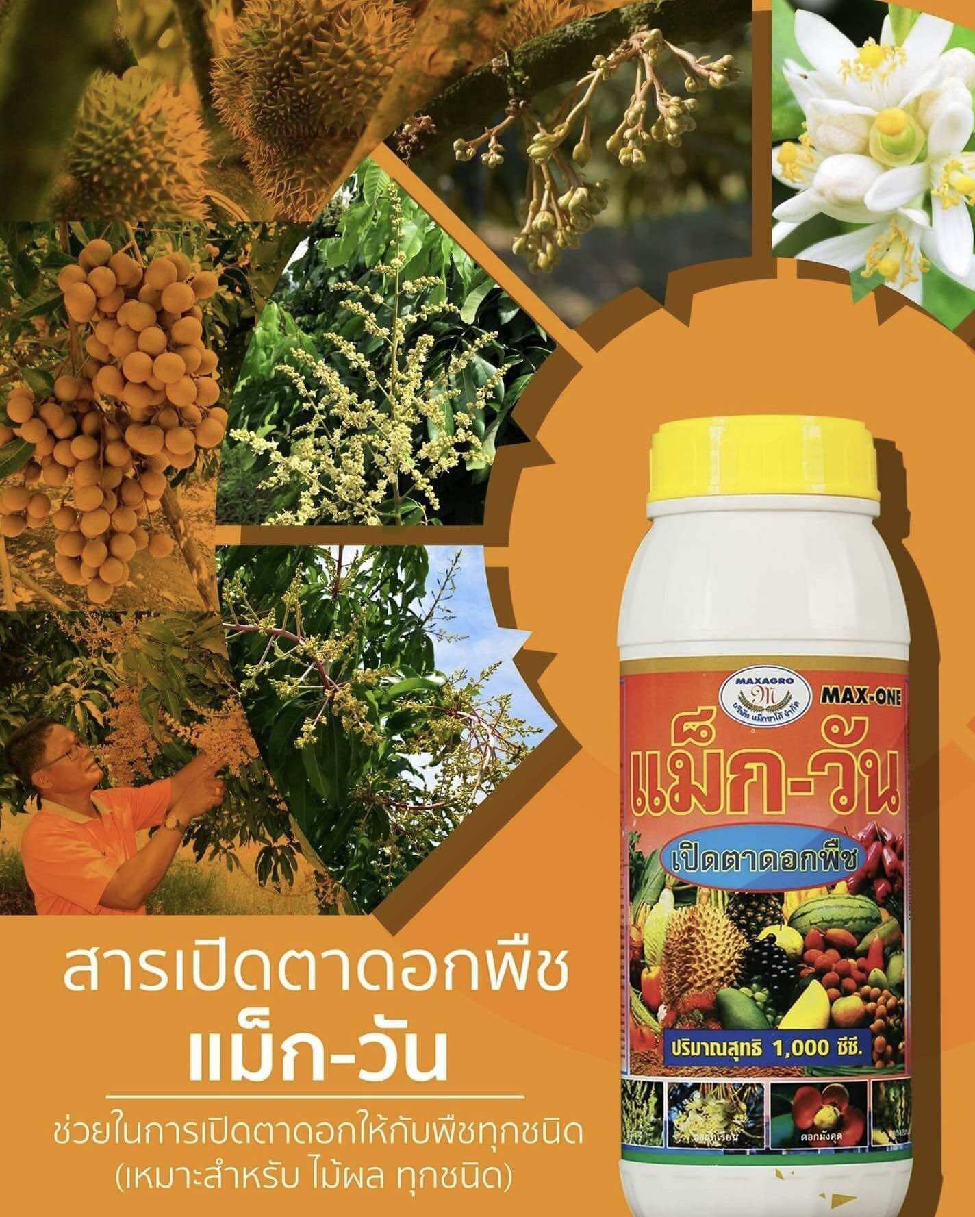แม็กวัน (ฮอร์โมนเปิดตาดอก) แม็กซาโก้ ขนาด 1 ลิตร - Patcha.Plants - ThaiPick