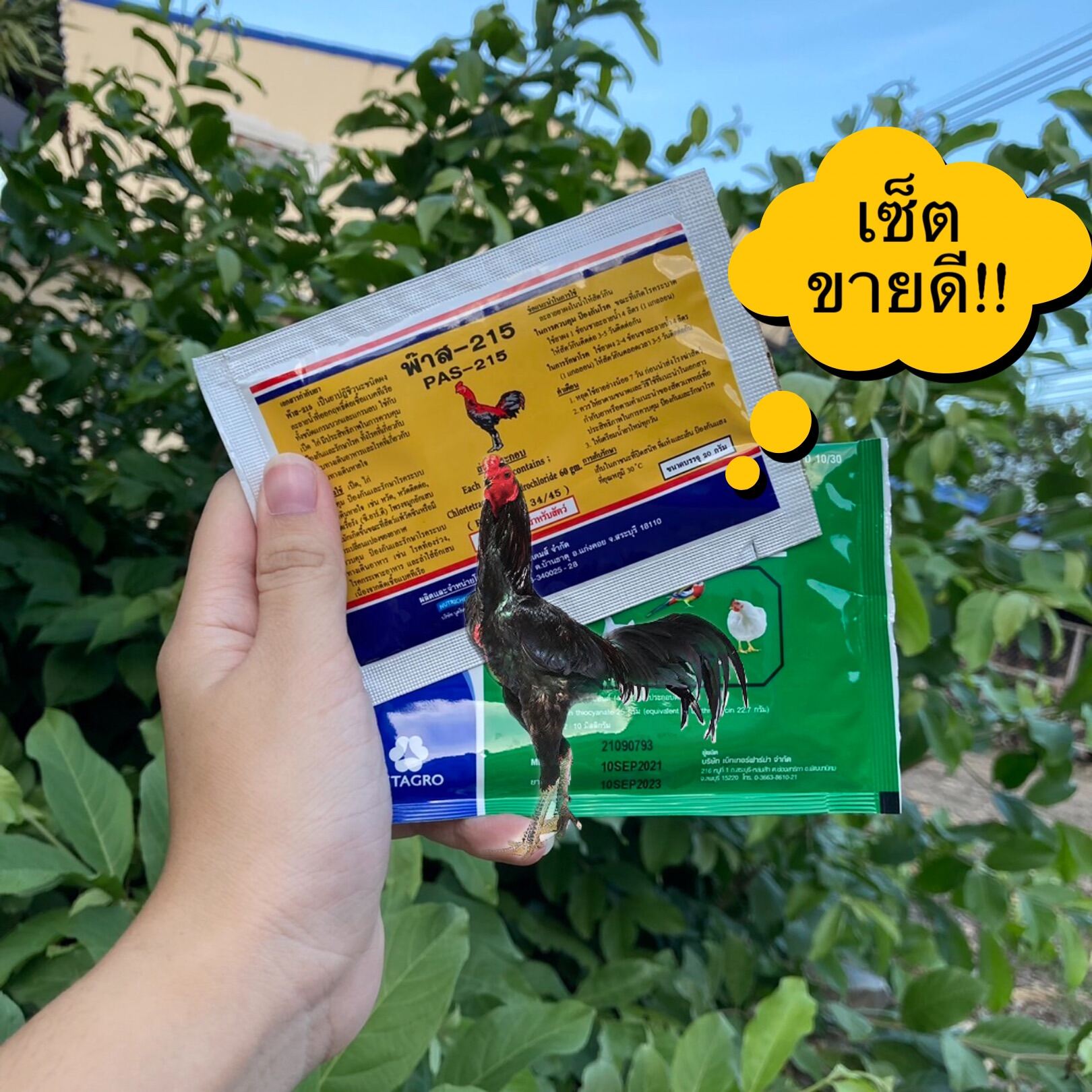 Biocatalin ( ไบโอ คาตาลิน ) ขนาด 500 ml. จำนวน 1 ขวด - Pet Drugs3 ...