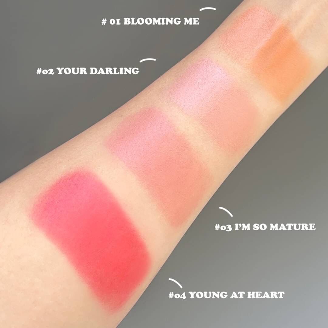 แถมบัพจิ๋วสติ๊กเกอร์พร้อมส่ง LA GLACE FANCY VIBES CREAM BLUSH ครีมบลัชลากลาส บลัชออนแฟนซี 4 สี ...